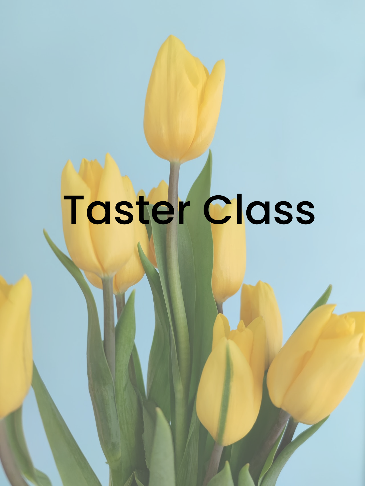 Dutch Classes — Access Art Academy