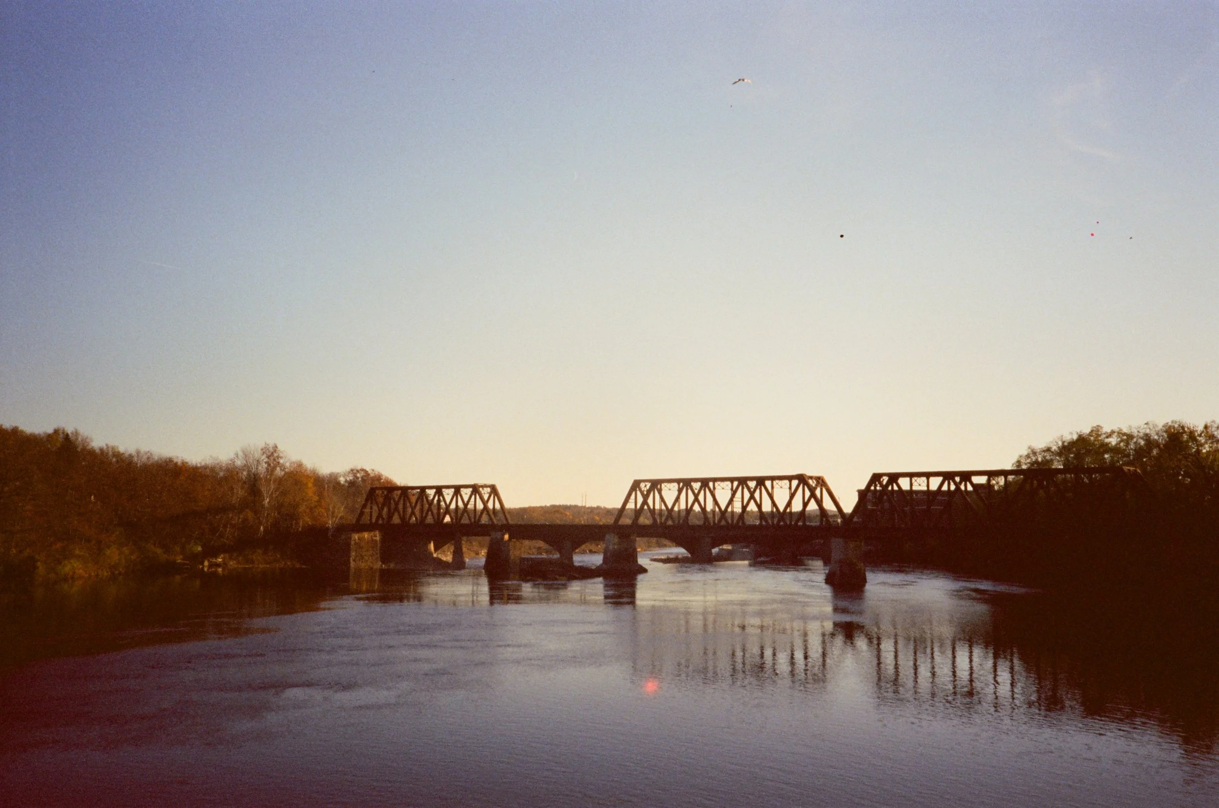 Shooting Film on CineStill 800T In The Daylight — Joey Pedras