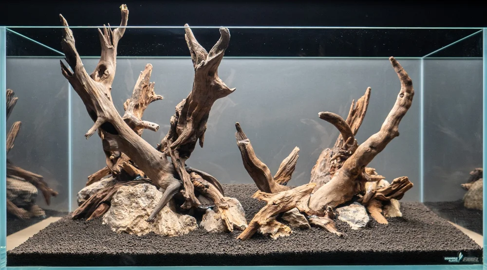 "Planted Paradise" Ryoboku bei Dennerle Plants (Interzoo 2022) – Pachi ...