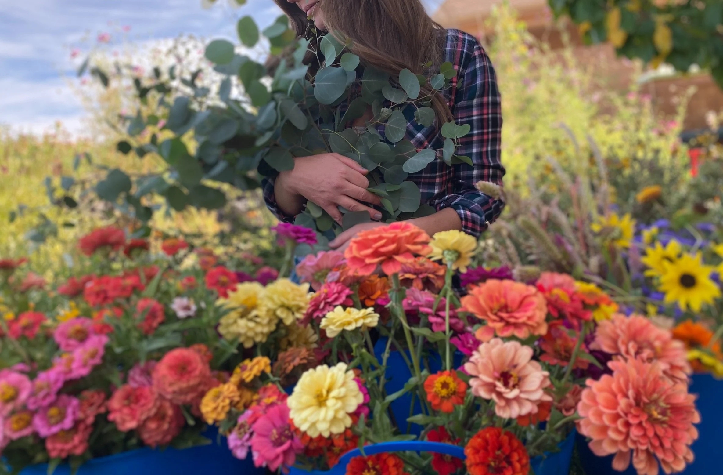 Rowan & Wren Flowers
