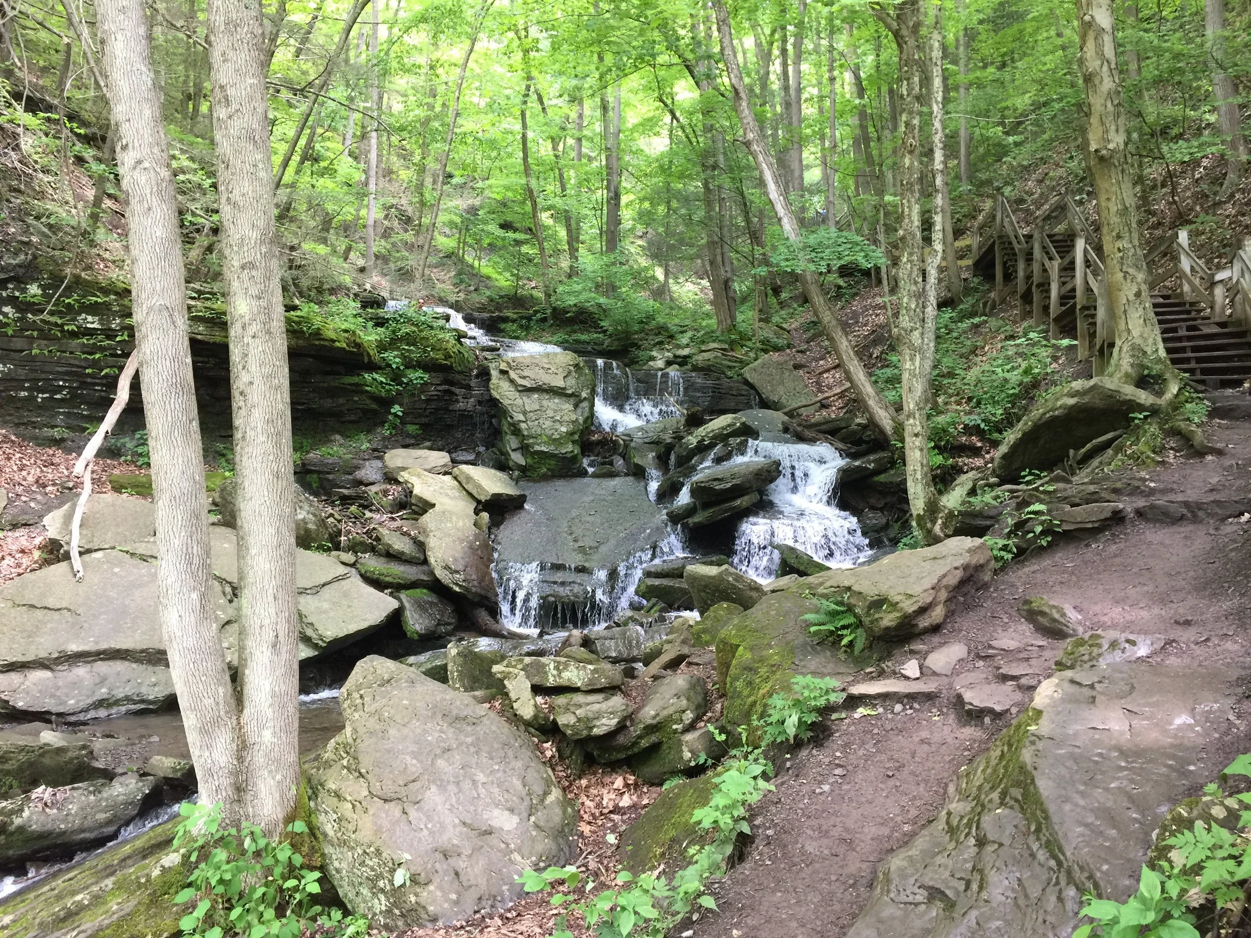 Enjoy Tioga | Explore Opportunities Now — Develop Tioga