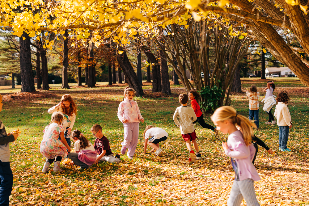 Crowley's Ridge Academy