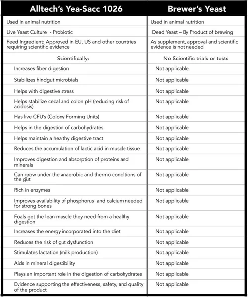 Yea-Sacc, a live yeast culture, vs Brewer's Yeast — Horse Supplements Store