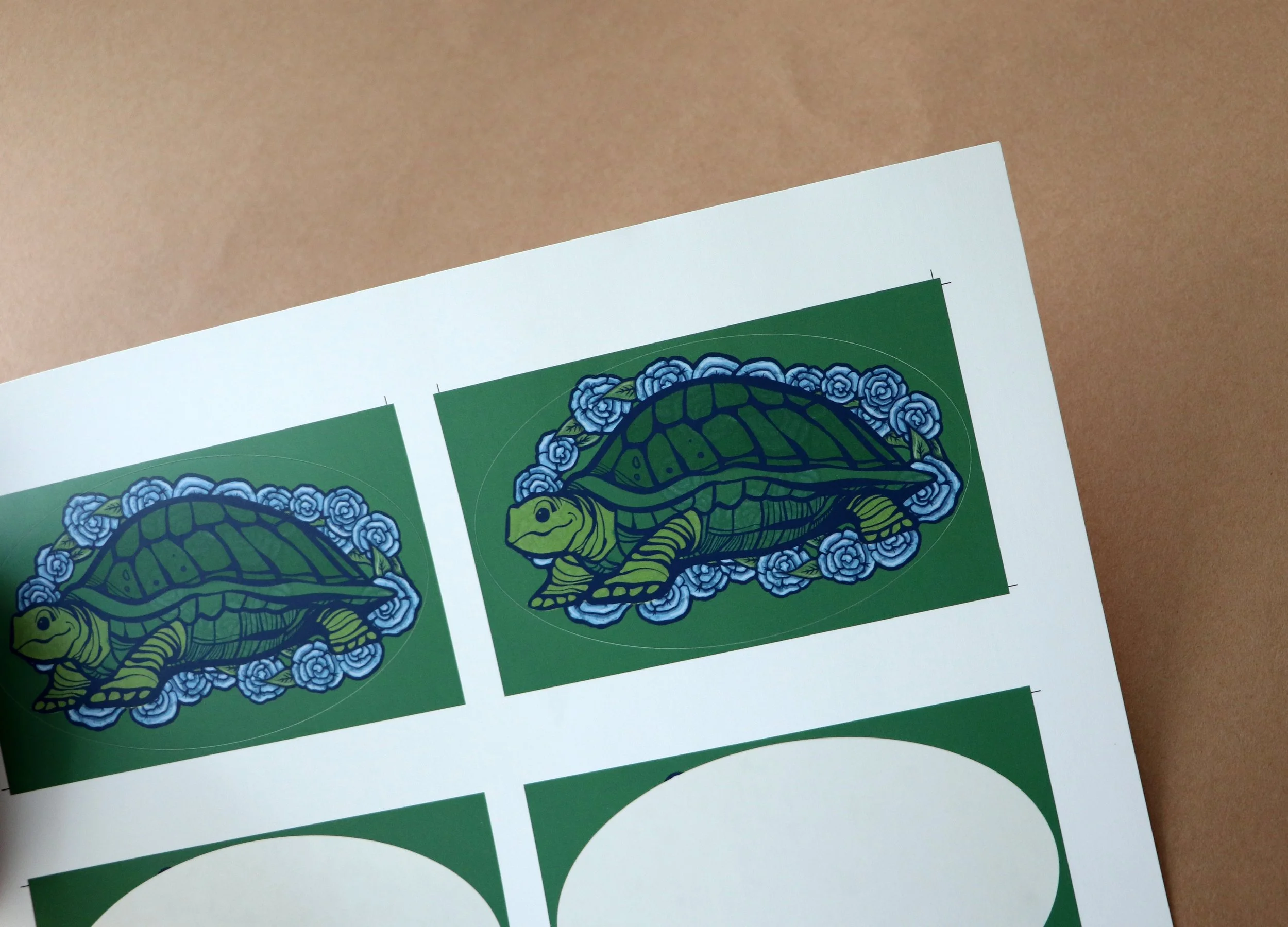 Turtles — Lacy Chenault