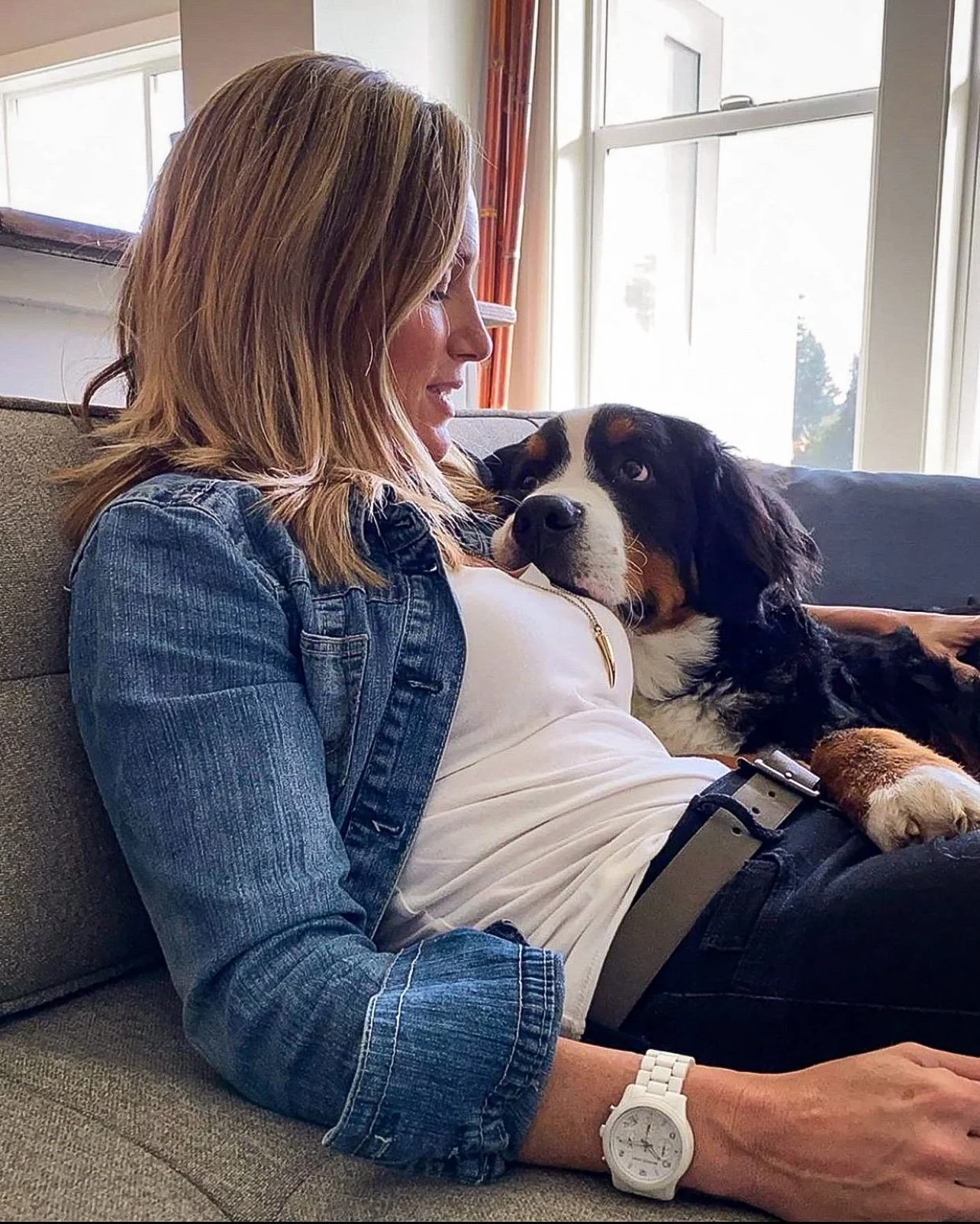 Reasons You NEED A Bernese Mountain Dog — Kevin The Berner