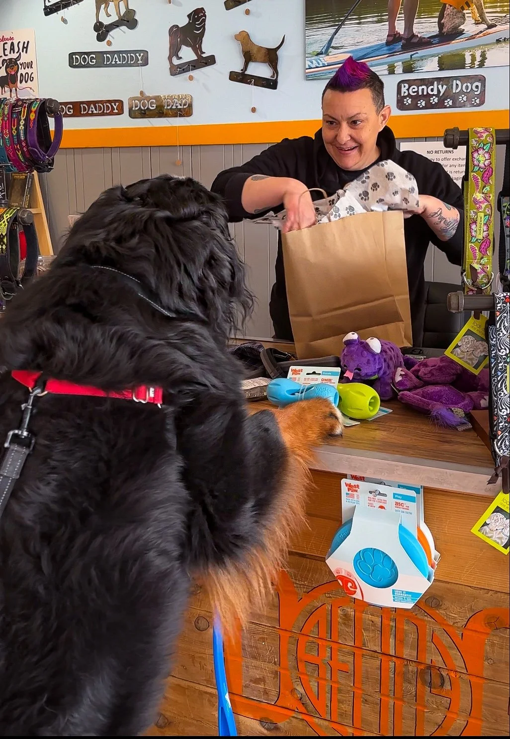 10 Things To Do With Your Dog In Bend — Kevin The Berner