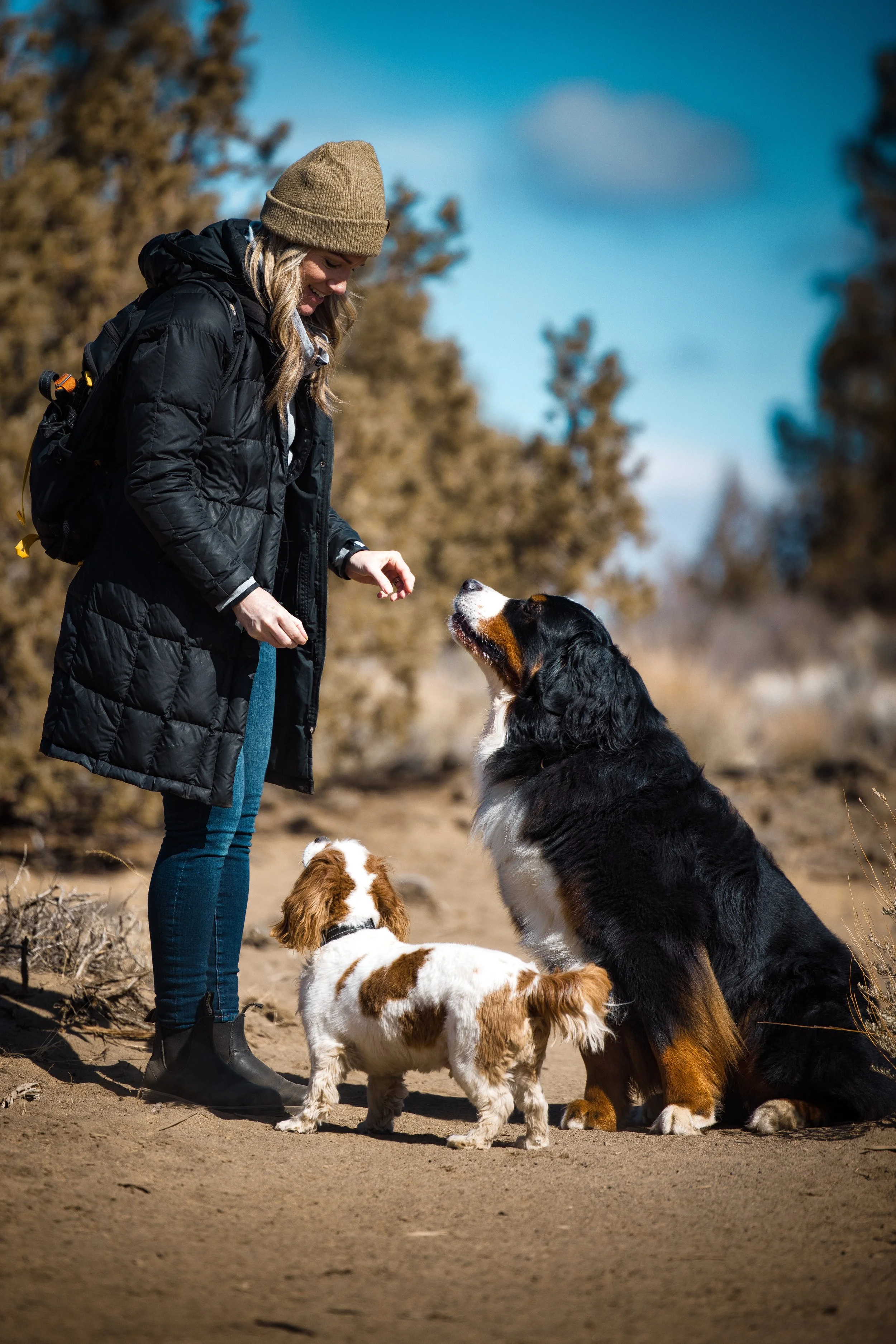 10 Things To Do With Your Dog In Bend — Kevin The Berner