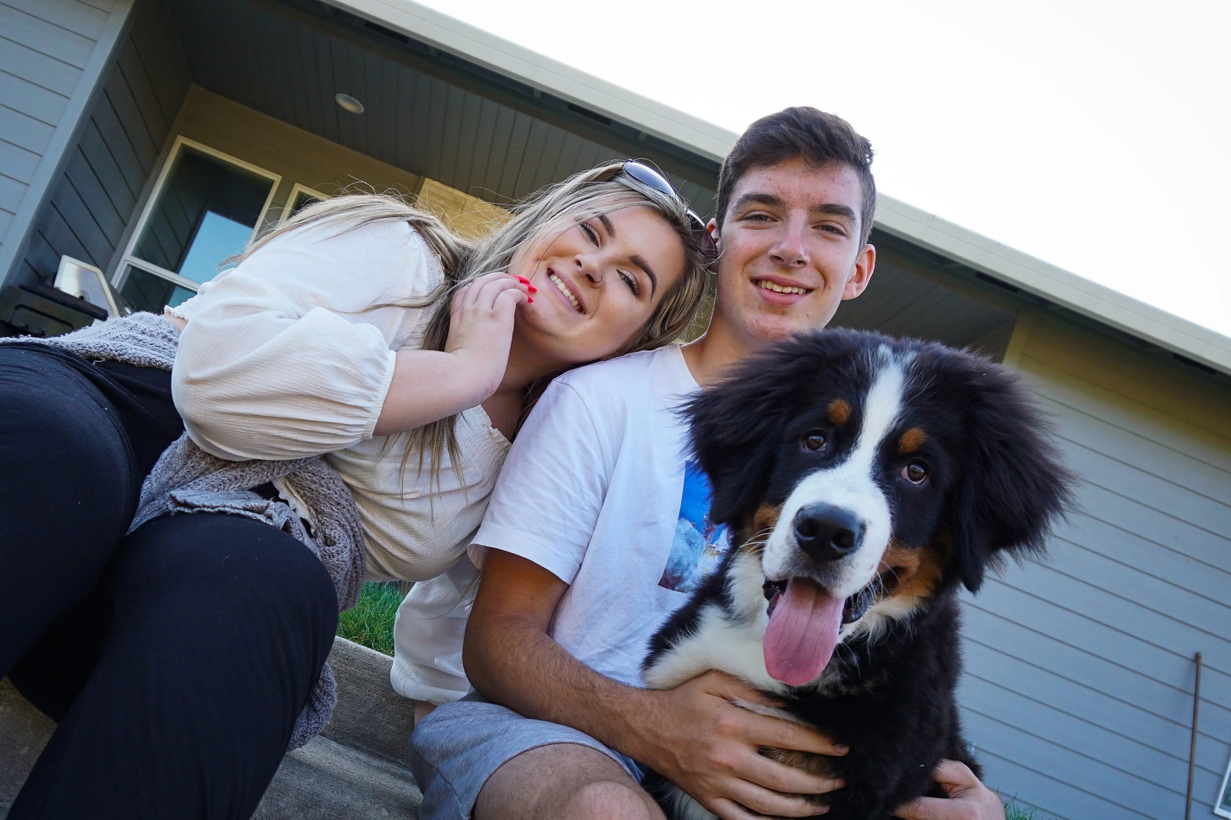 Reasons You NEED A Bernese Mountain Dog — Kevin The Berner