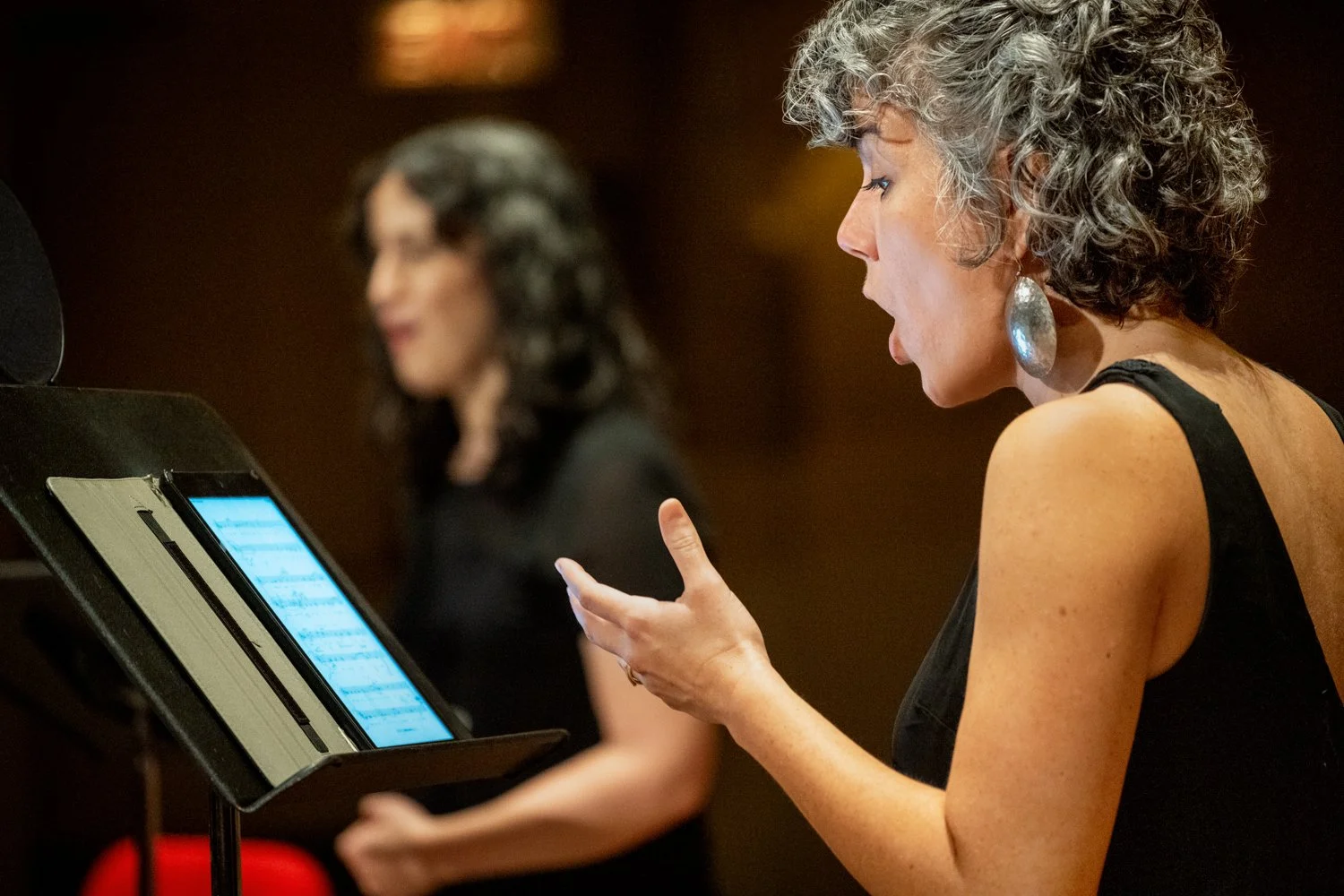 Lorelei Ensemble — Lorelei Ensemble