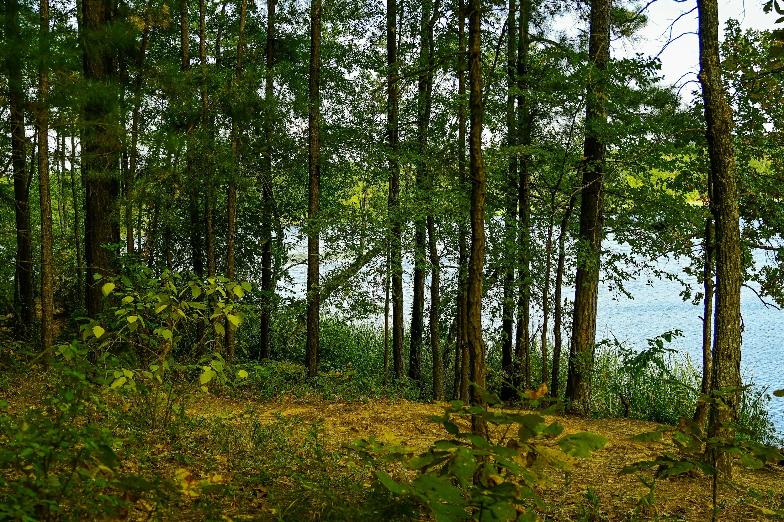 At a Glance — Anothen Outdoor Academy