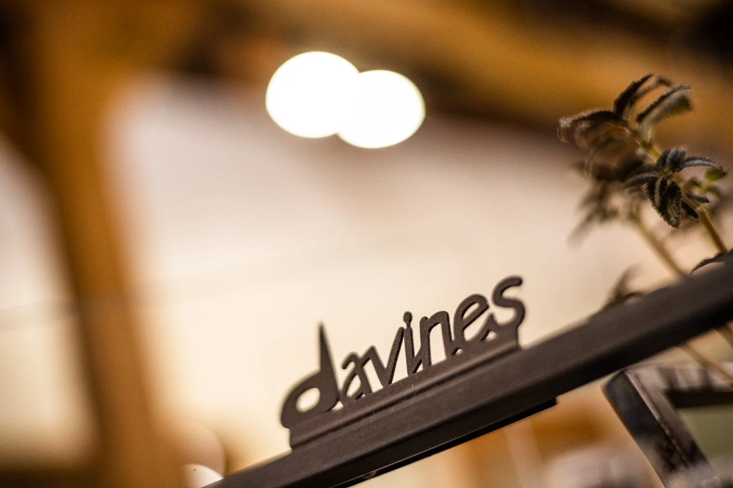 Services — Salon on 30th - #1 Davines Salon in San Diego