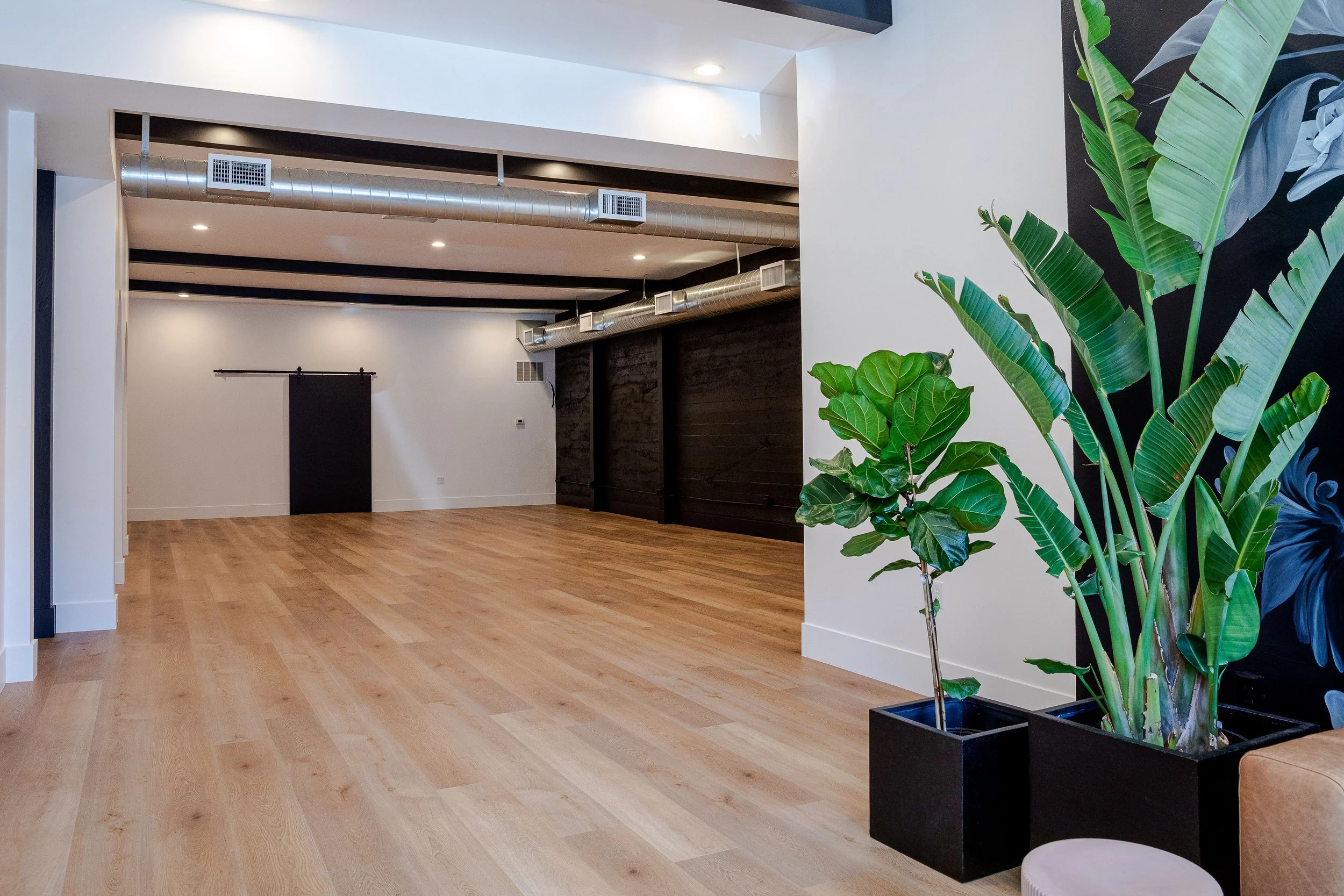 gallery — studio.Flora