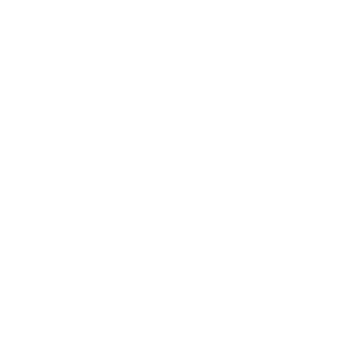 Emily Griffis - Vancouver Island Photographer