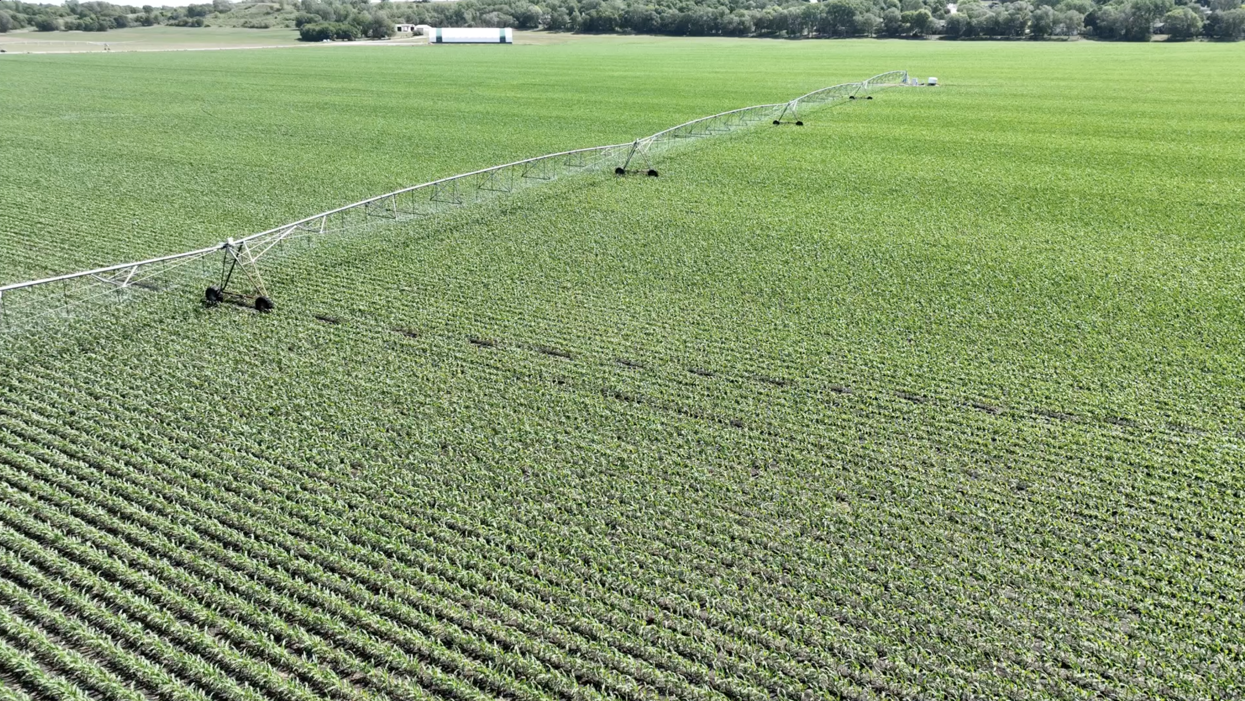 Protecting Nitrogen with Nitrogen Stabilizers — Streamline Ag