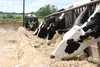 Streamline Ag