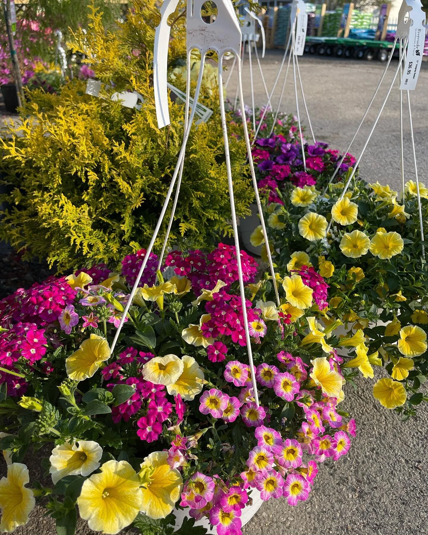 Riverside Greenhouses & Florist