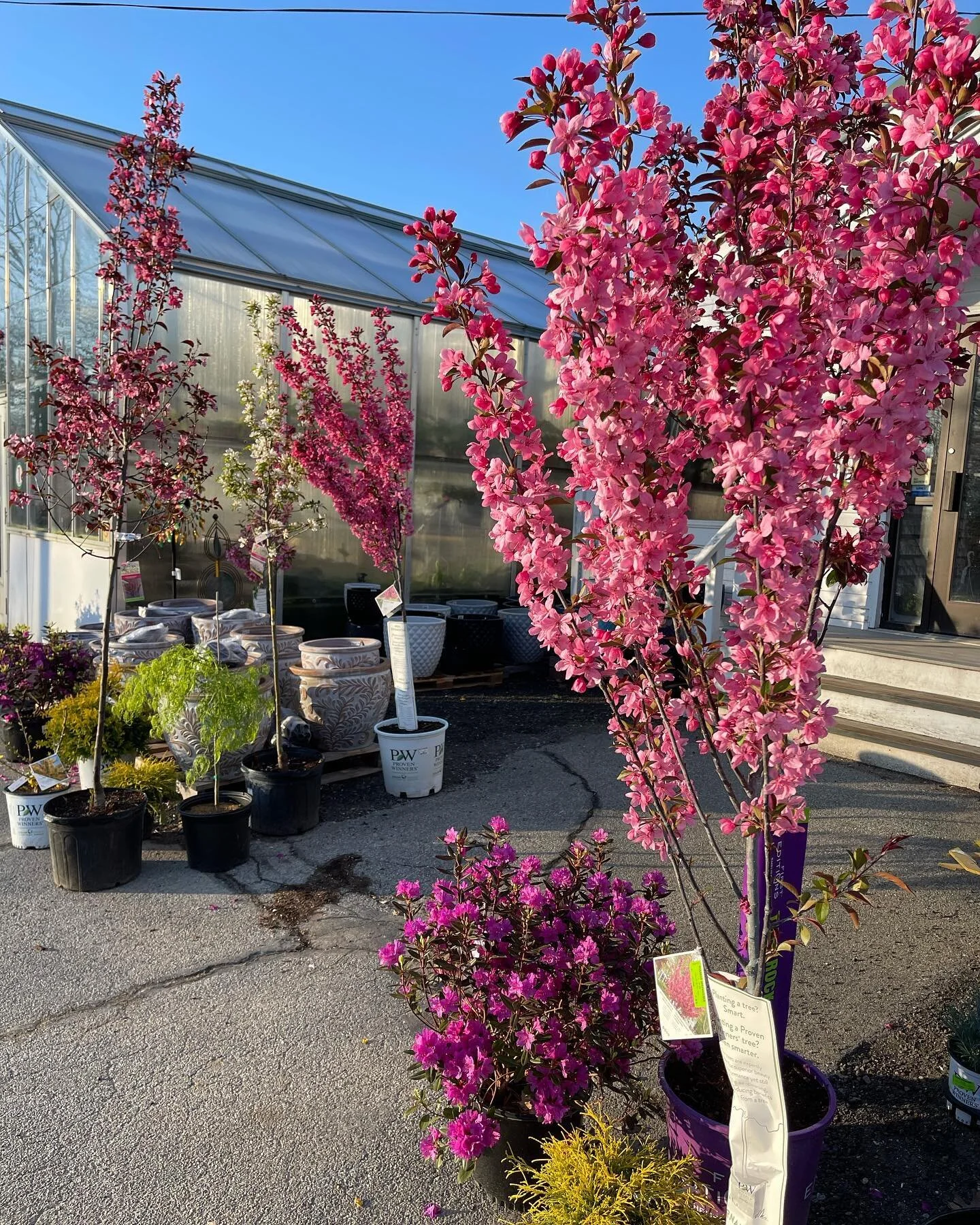 Riverside Greenhouses & Florist