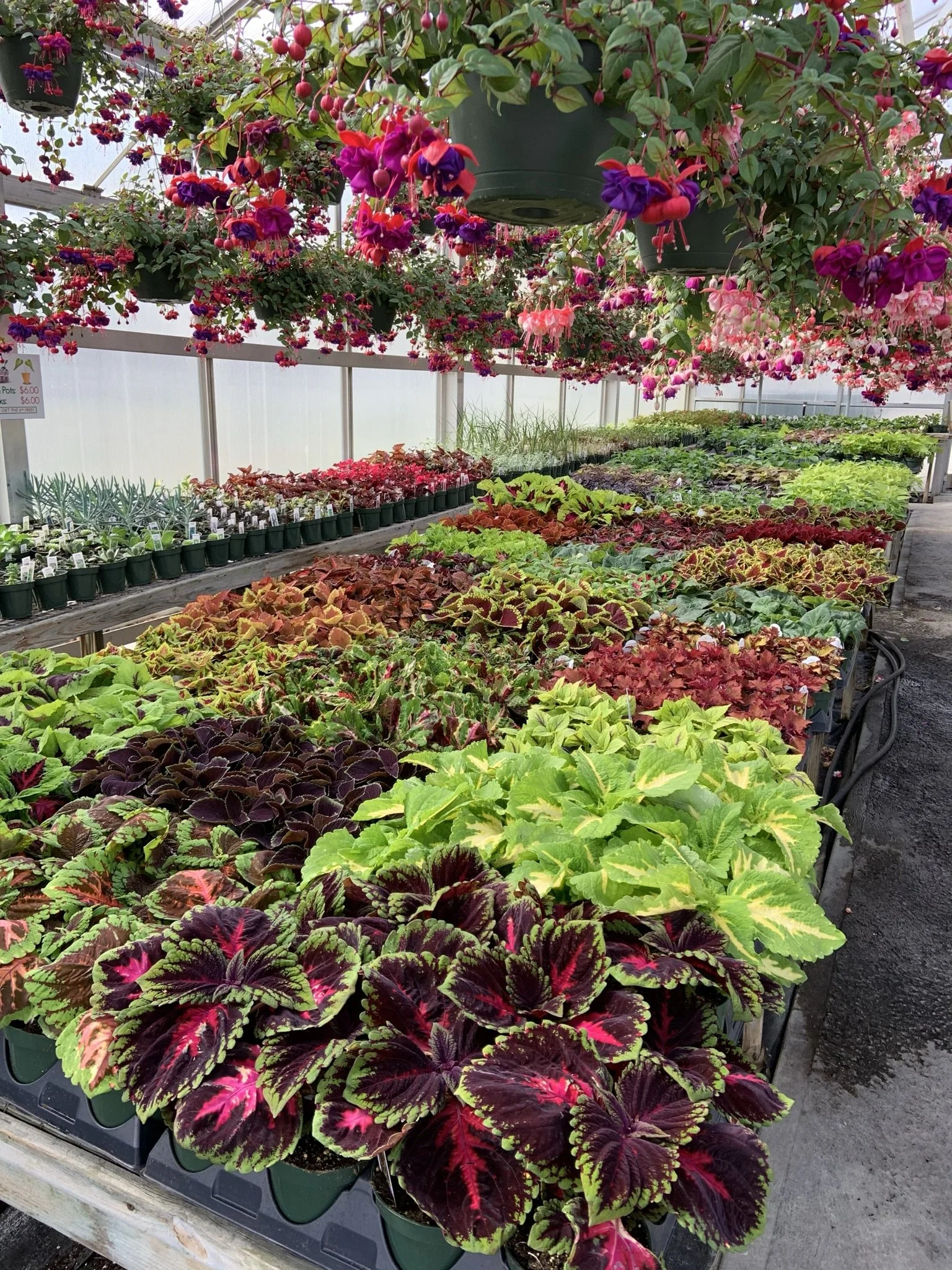 Riverside Greenhouses & Florist