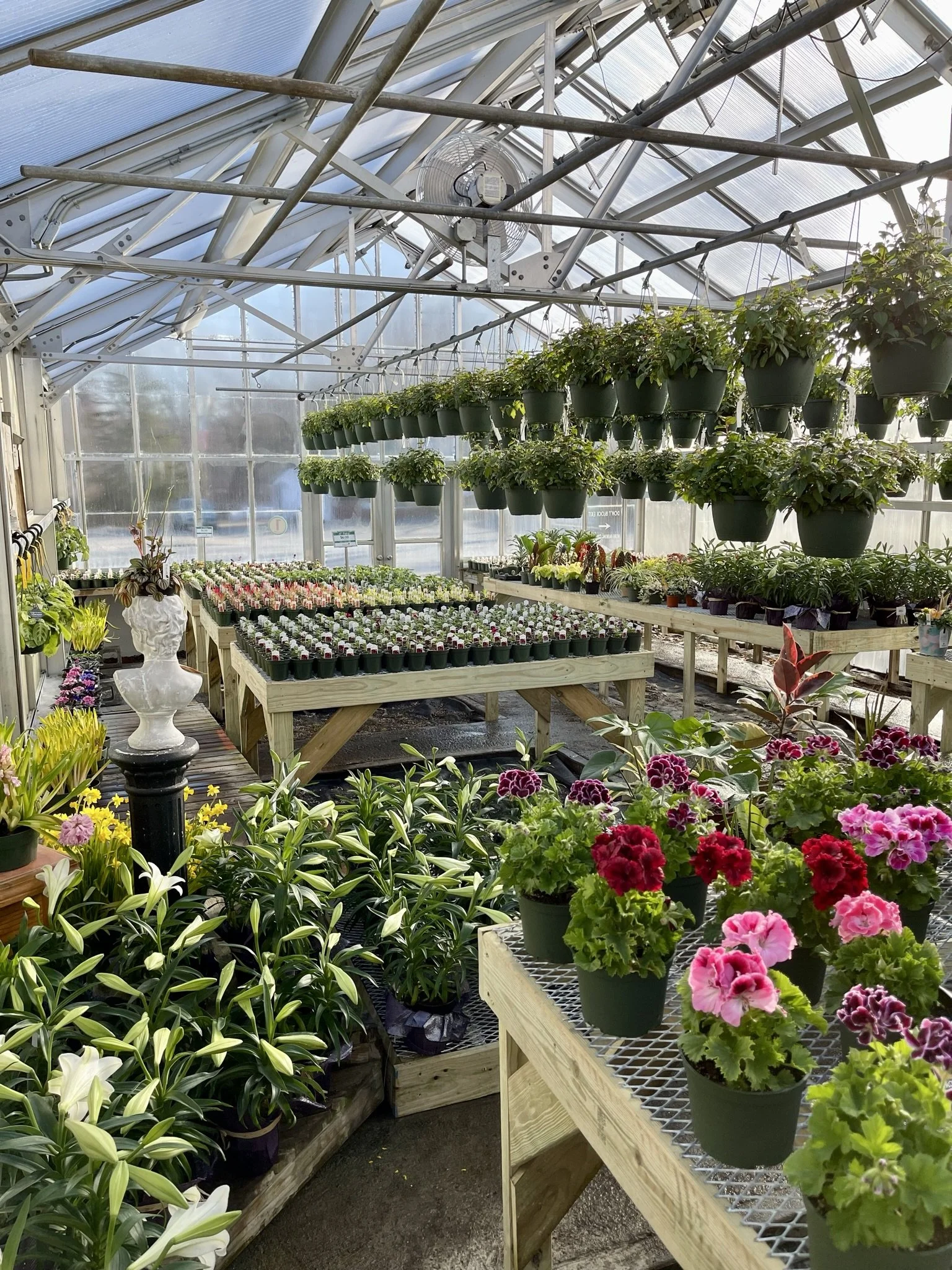 Riverside Greenhouses & Florist