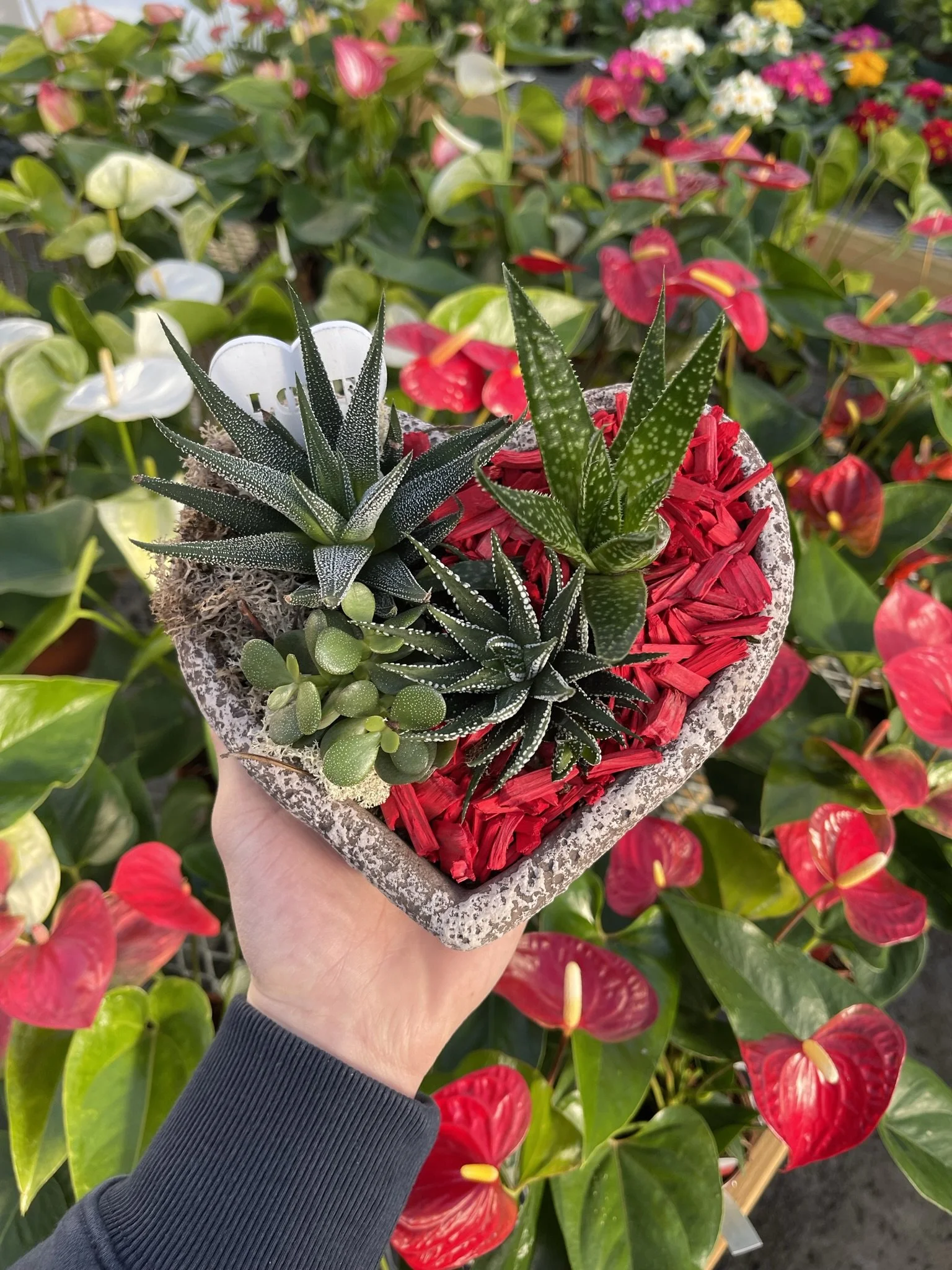 Riverside Greenhouses & Florist