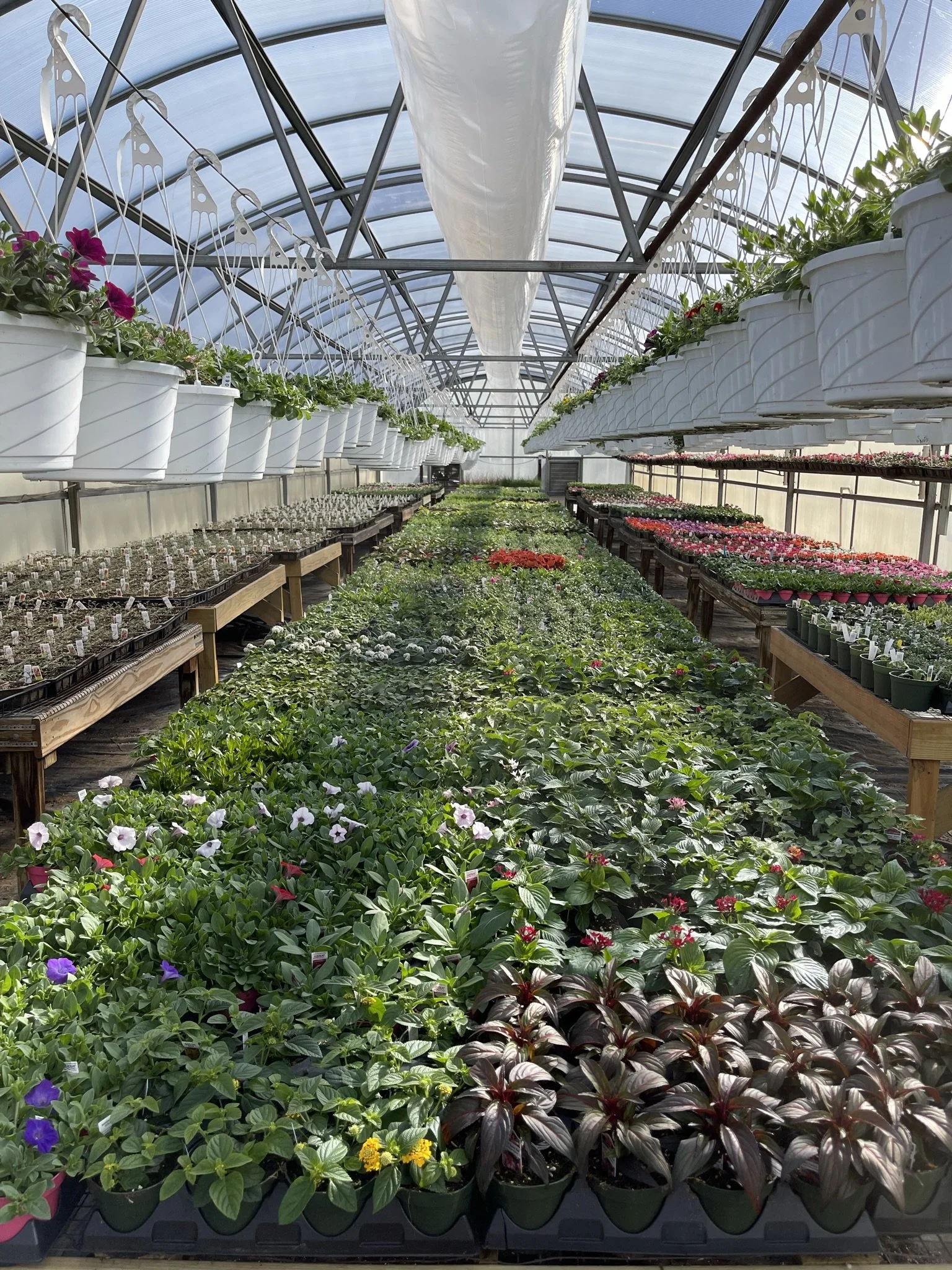 Riverside Greenhouses & Florist