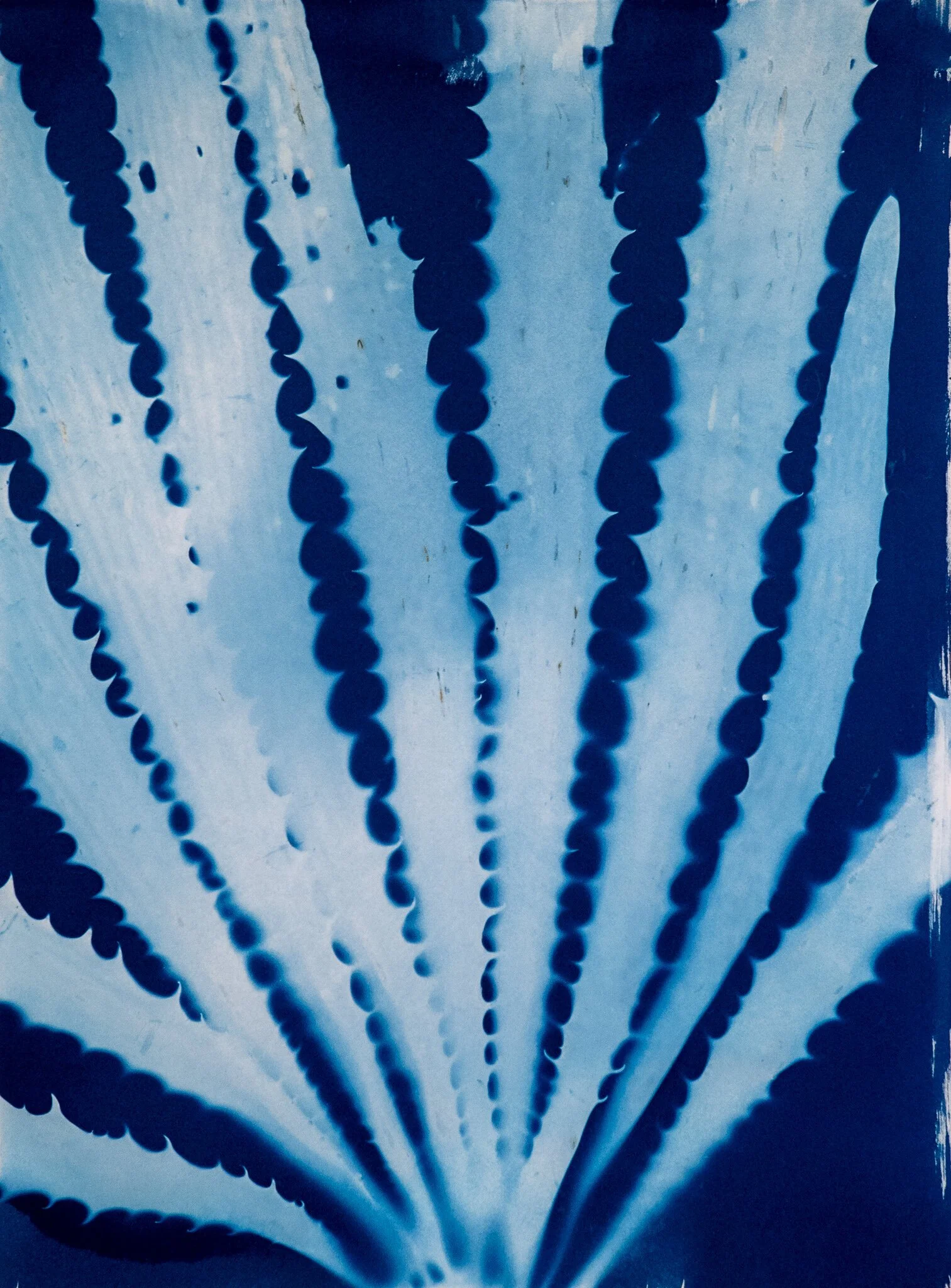 Shop — Oriana Poindexter