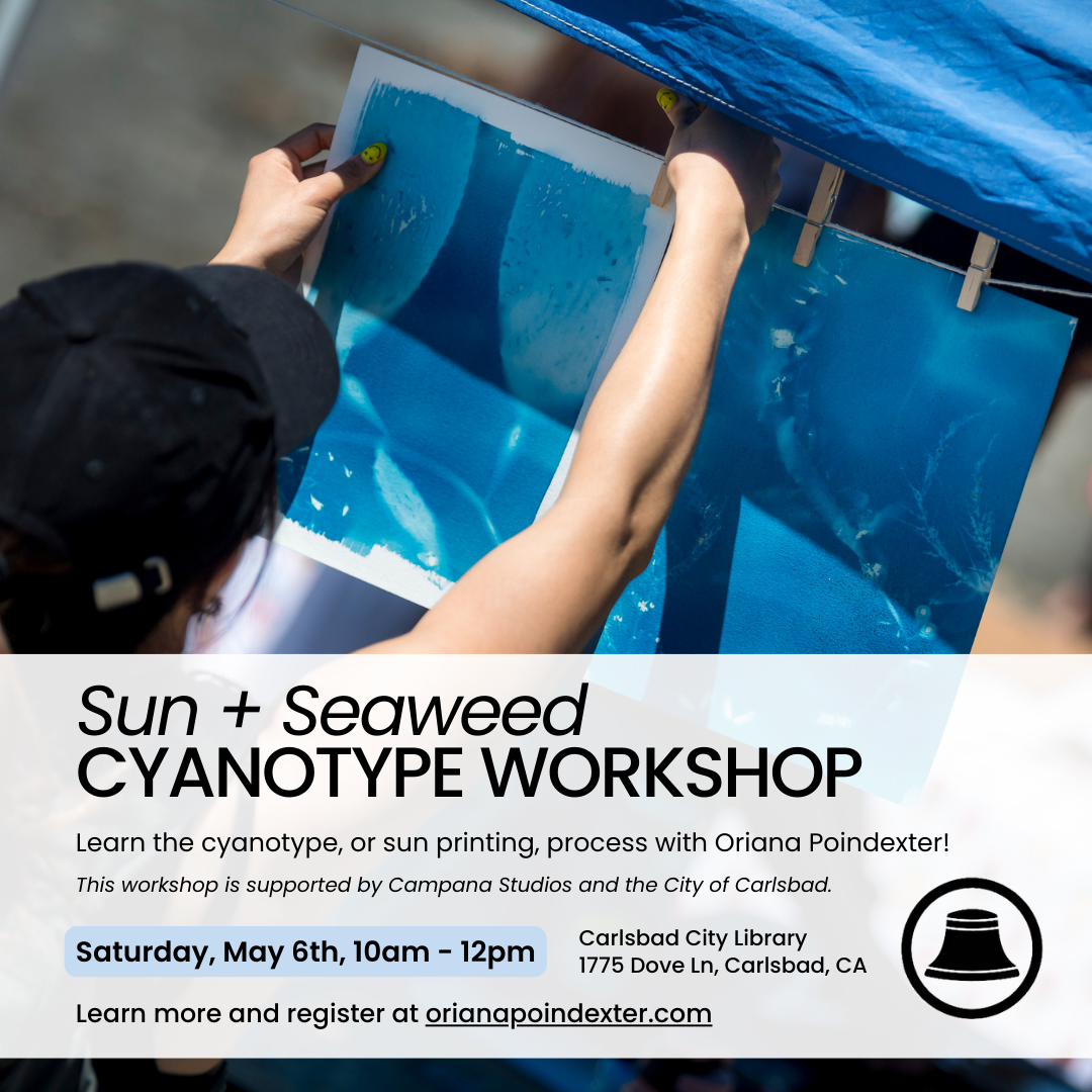 Cyanotype Workshop: Photography with Sun and Sea — Oriana Poindexter
