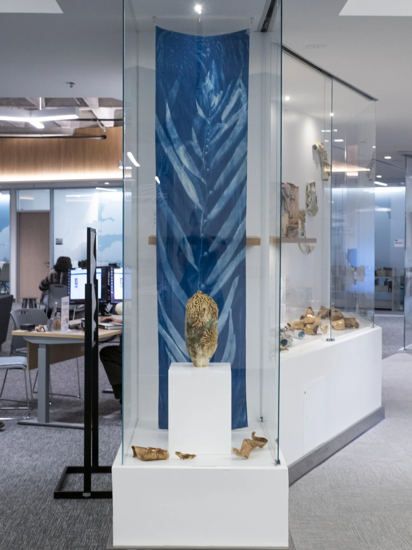 Ebb + Flow: Giant Kelp Forests through Art, Science & the Archives ...