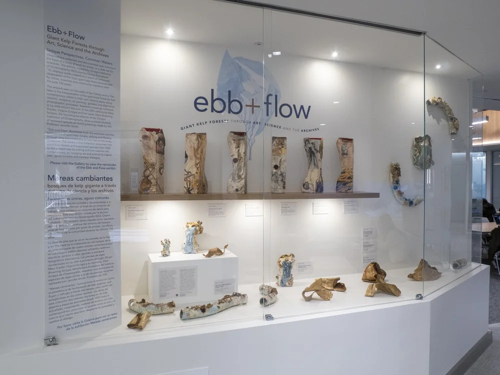 Ebb + Flow: Giant Kelp Forests through Art, Science & the Archives ...