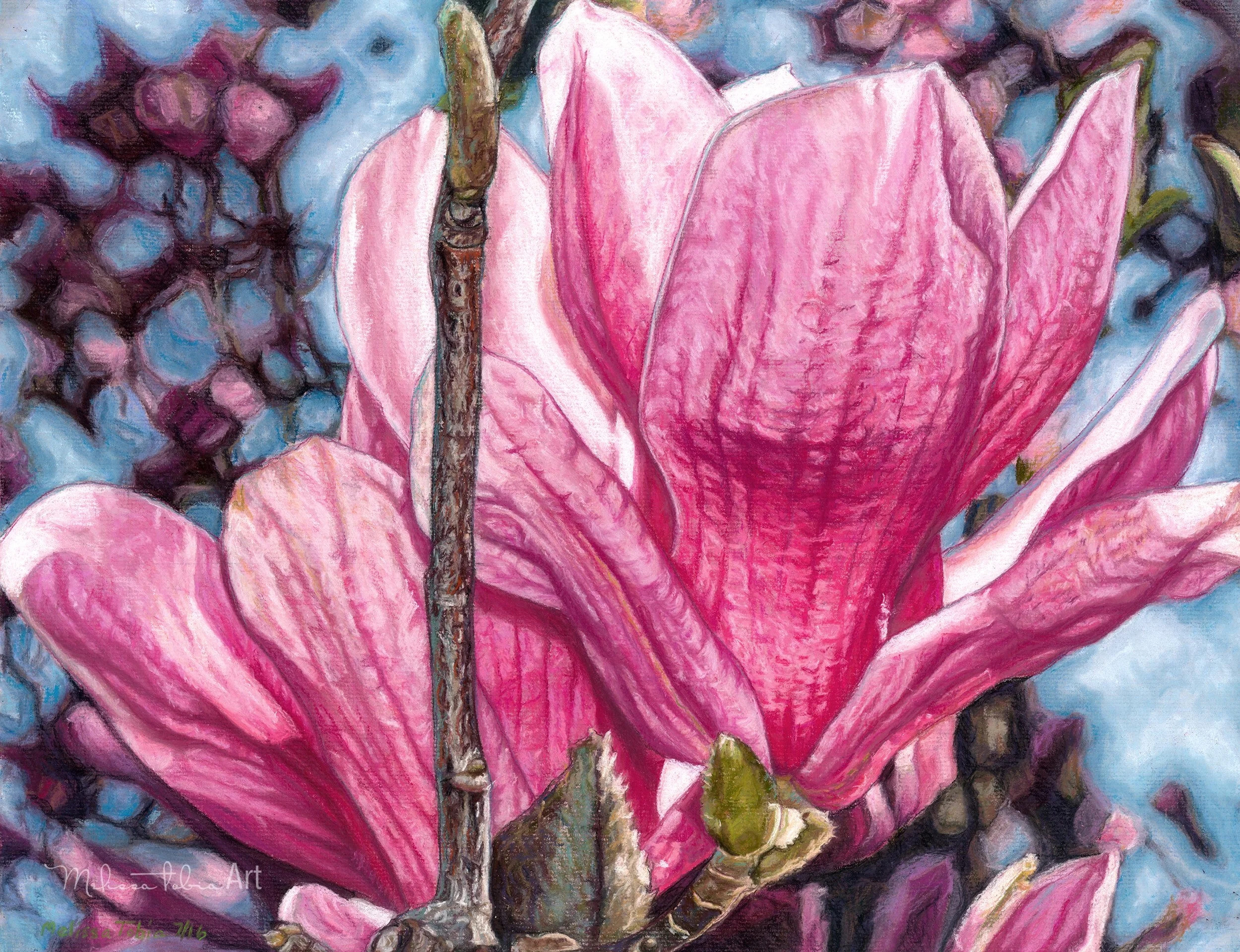 Pink Magnolia Painting
