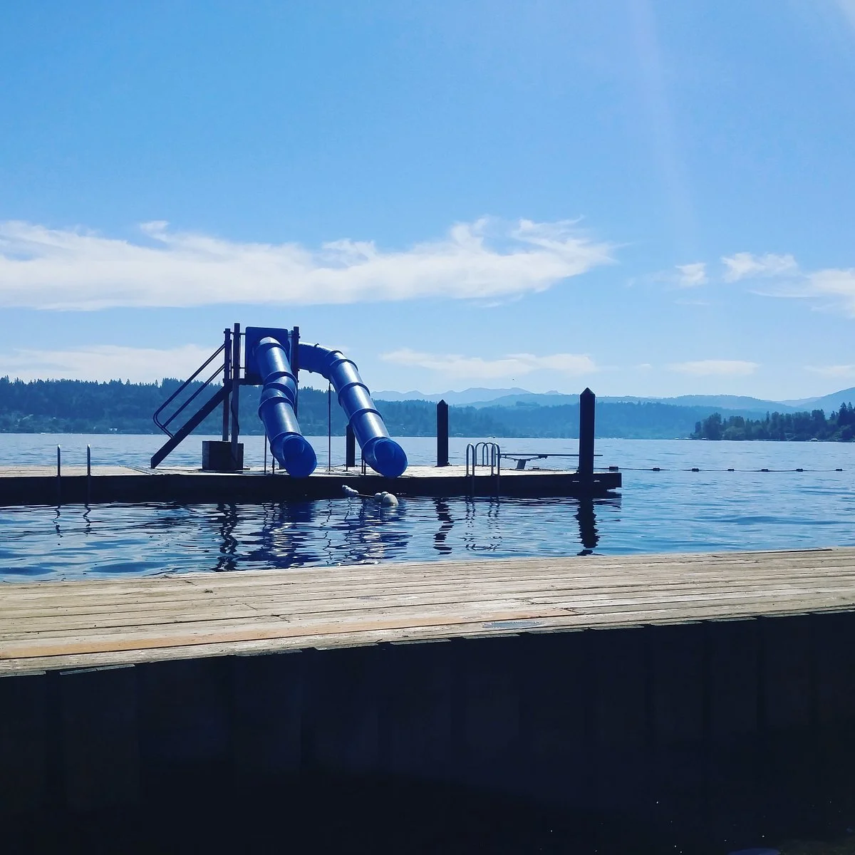 Vasa Club of Lake Sammamish