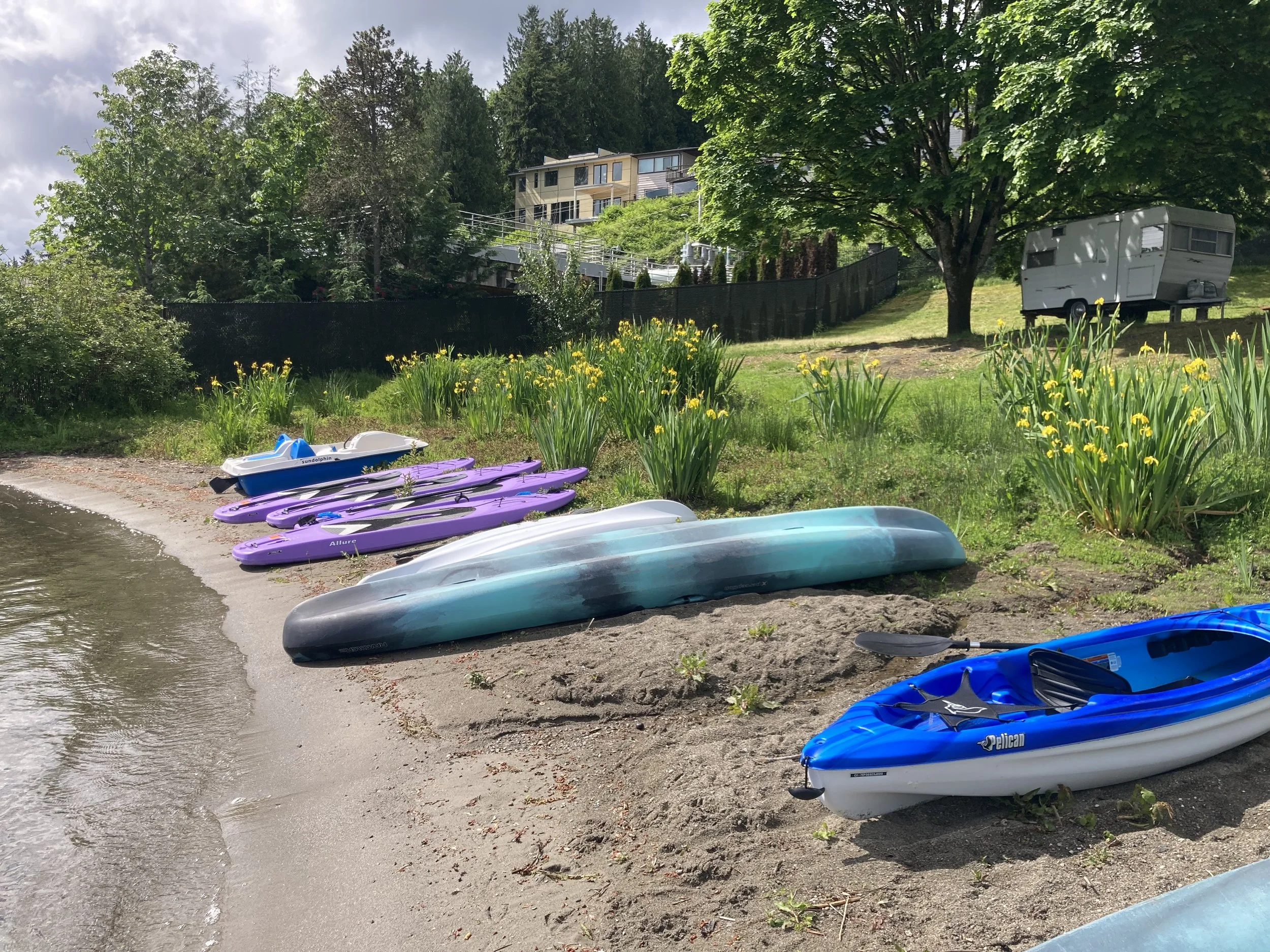 Vasa Club of Lake Sammamish