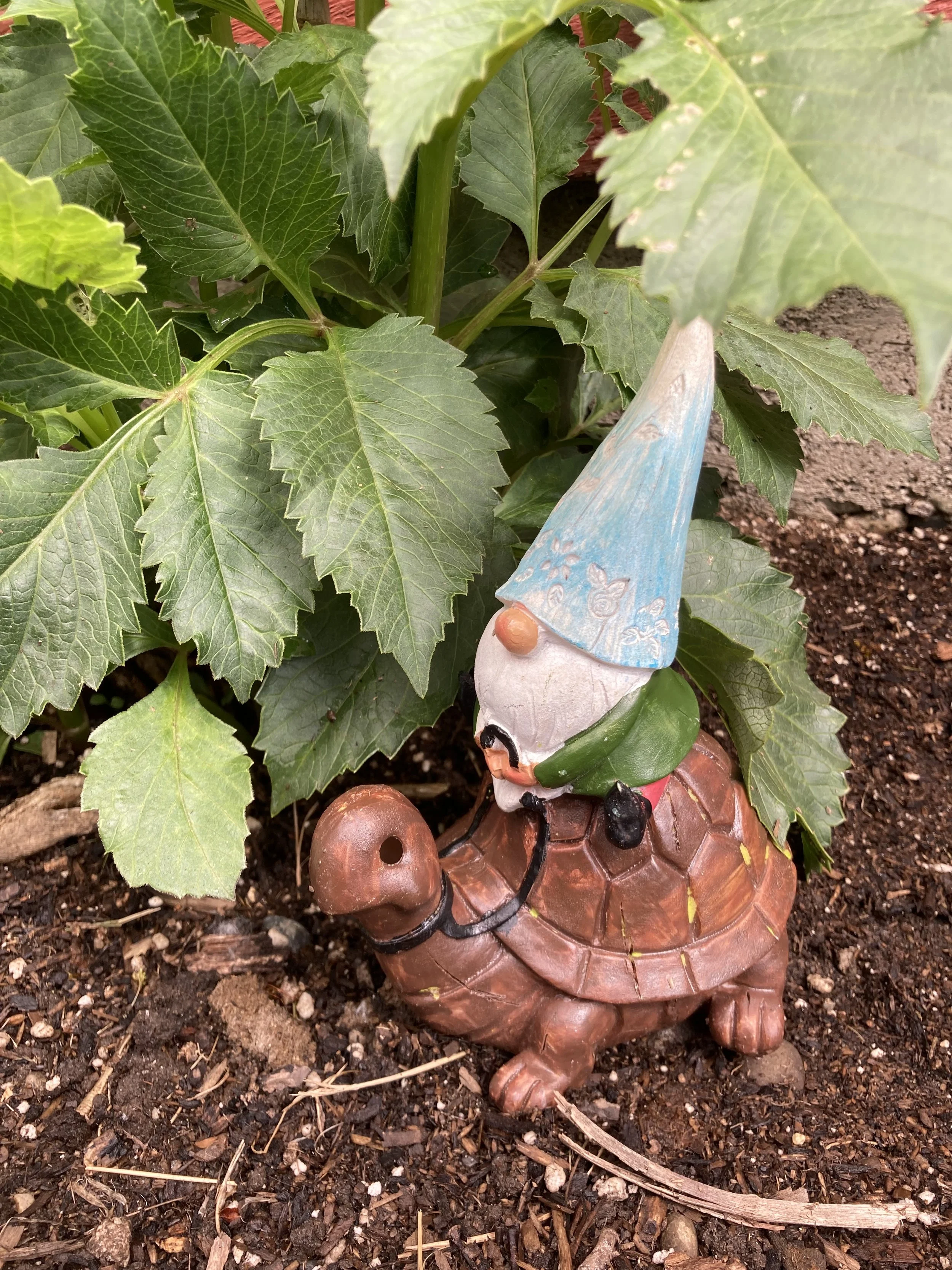 Vasa Club of Lake Sammamish