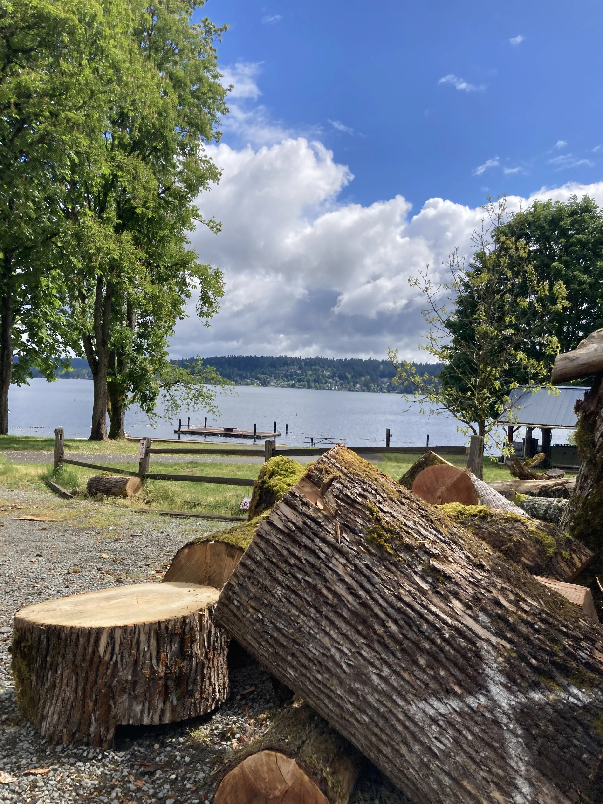 Vasa Club of Lake Sammamish