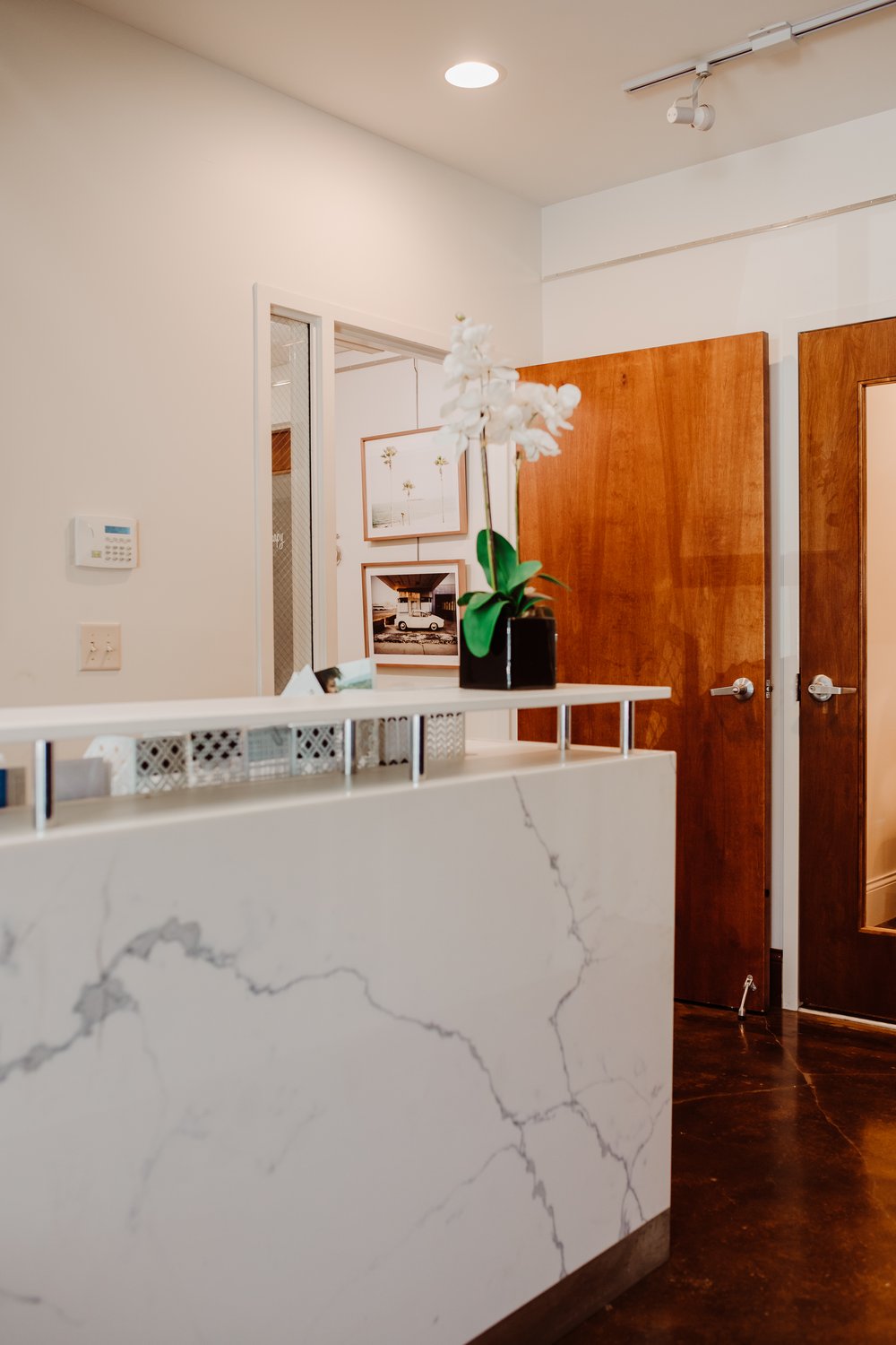 Gallery 2 — Evergreen Therapy