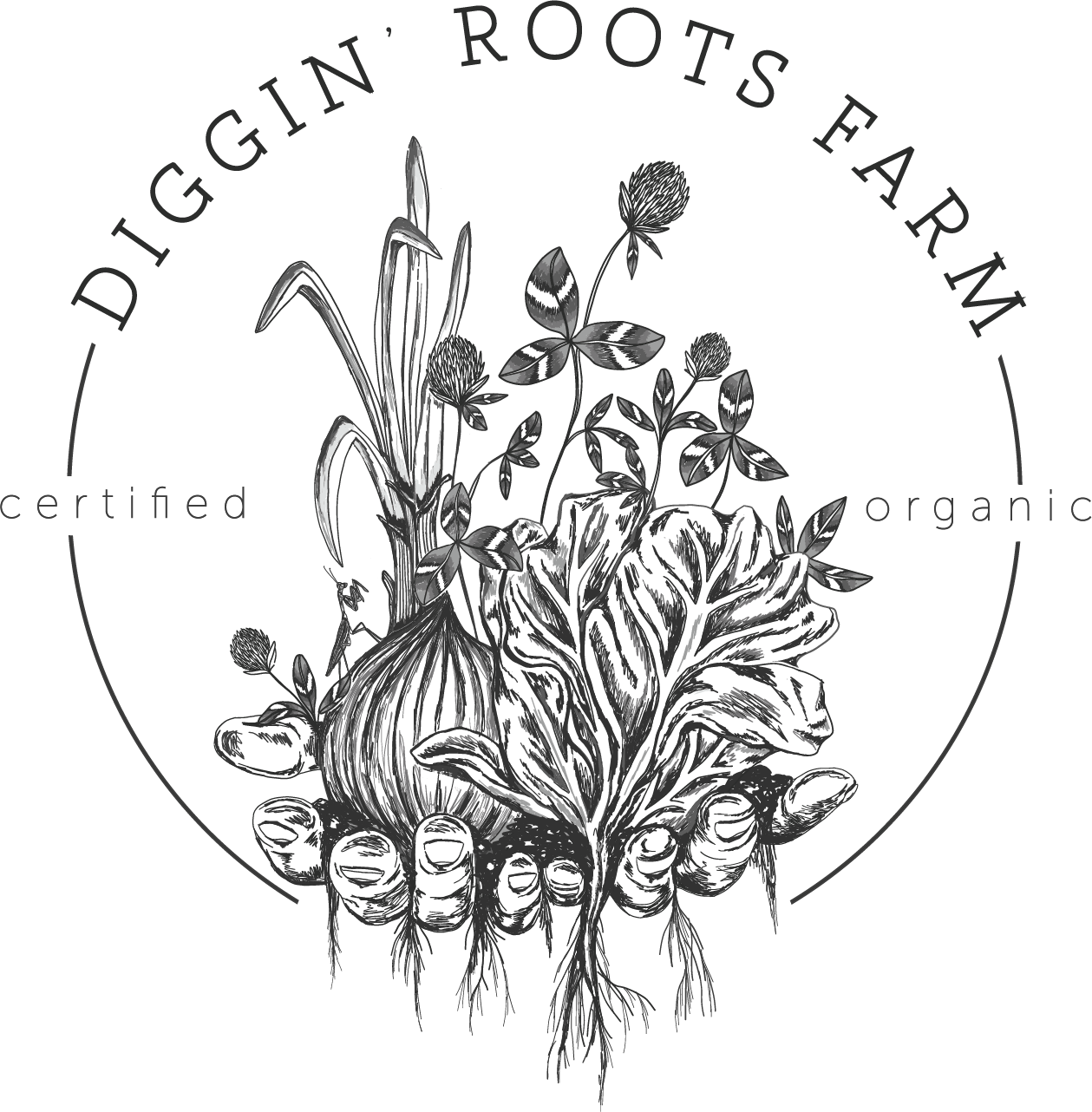Diggin' Roots Farm