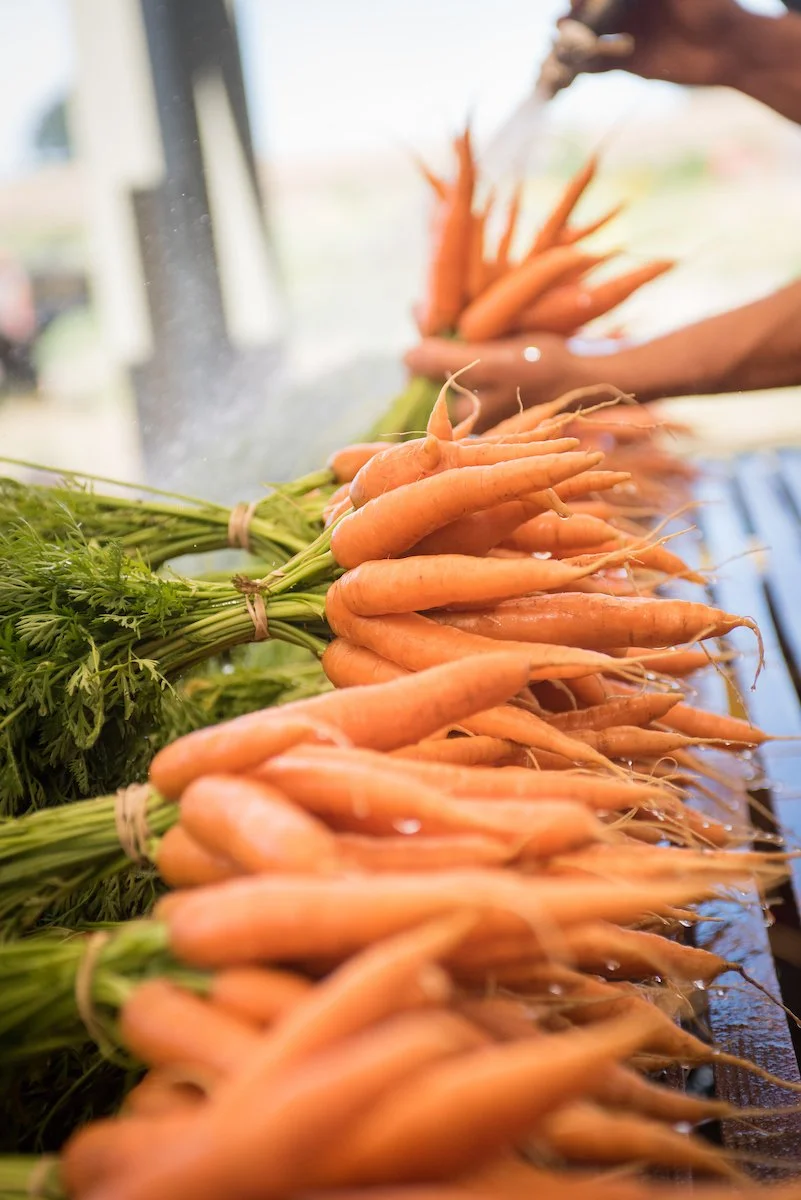 CSA — Diggin' Roots Farm