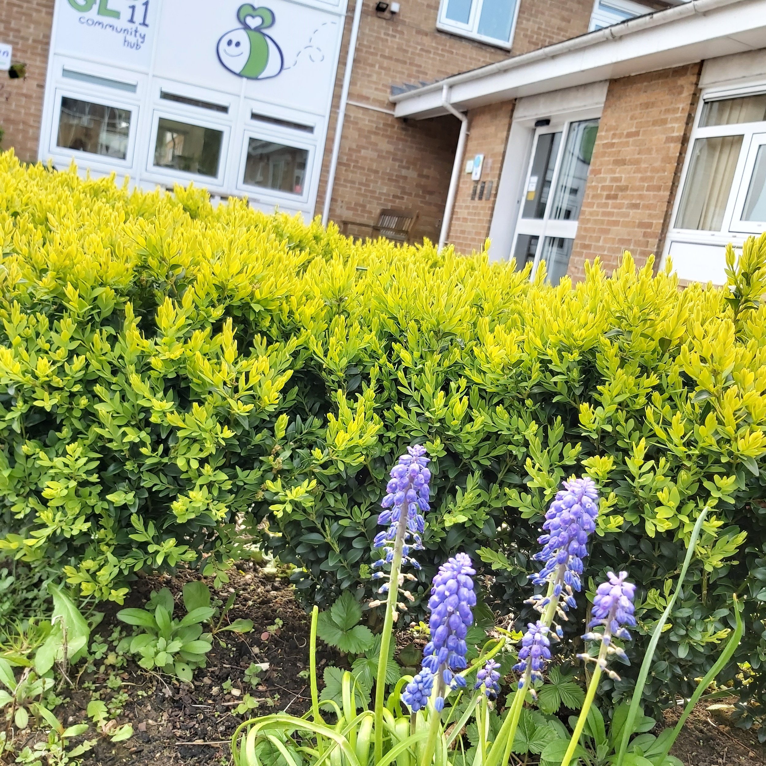 Groups, Activities & Courses at GL11 Community Hub, Cam ...