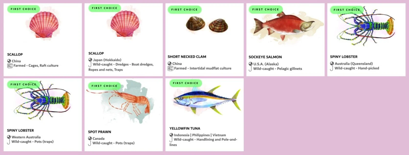 A guide to sustainable fish eating — CHOMP