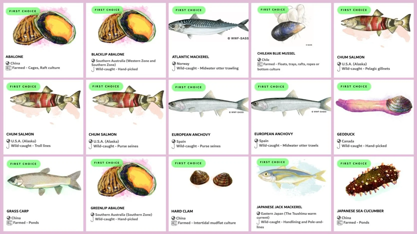 A guide to sustainable fish eating — CHOMP