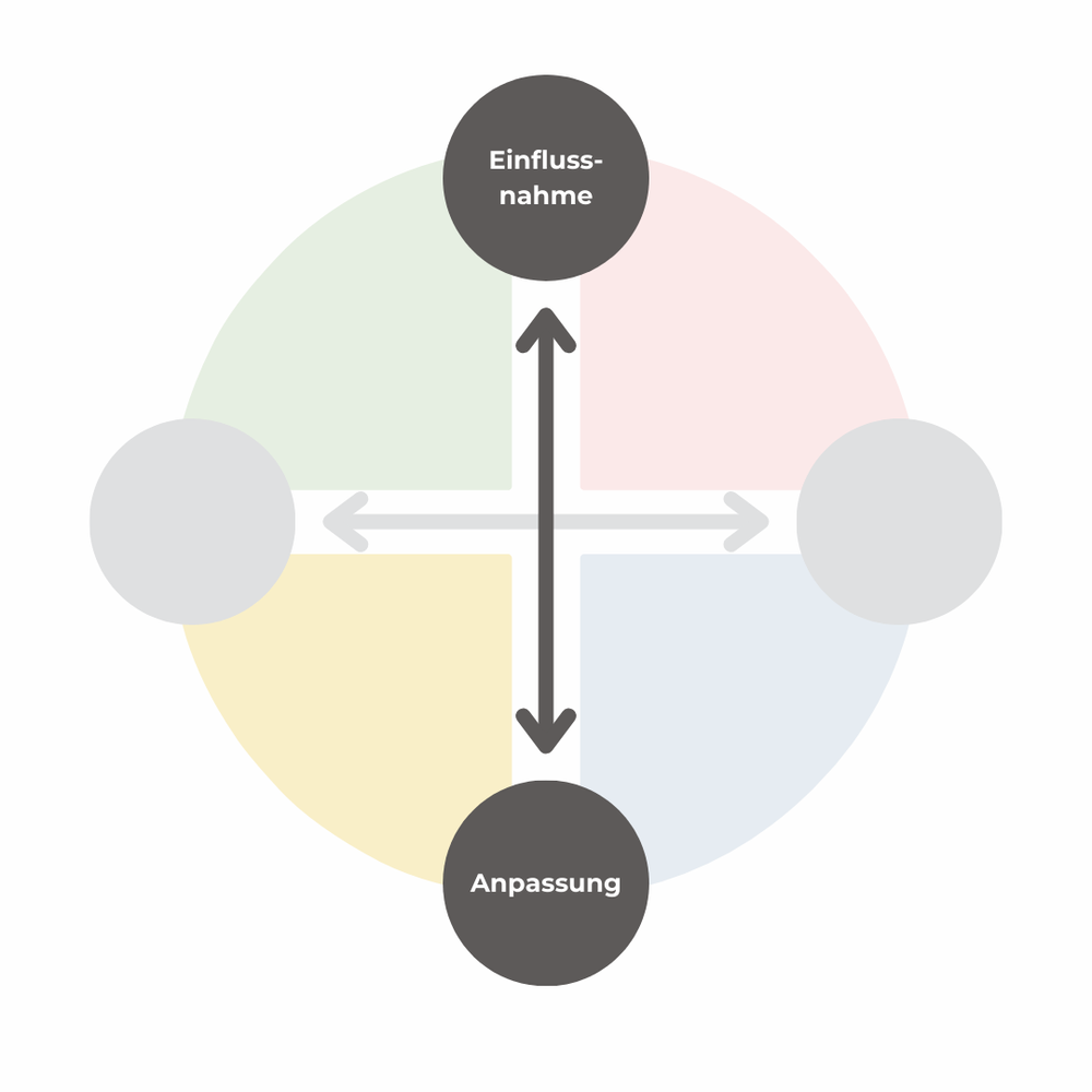DiSG-Modell: einfach erklärt | COACHING 4 YOUR FOCUS
