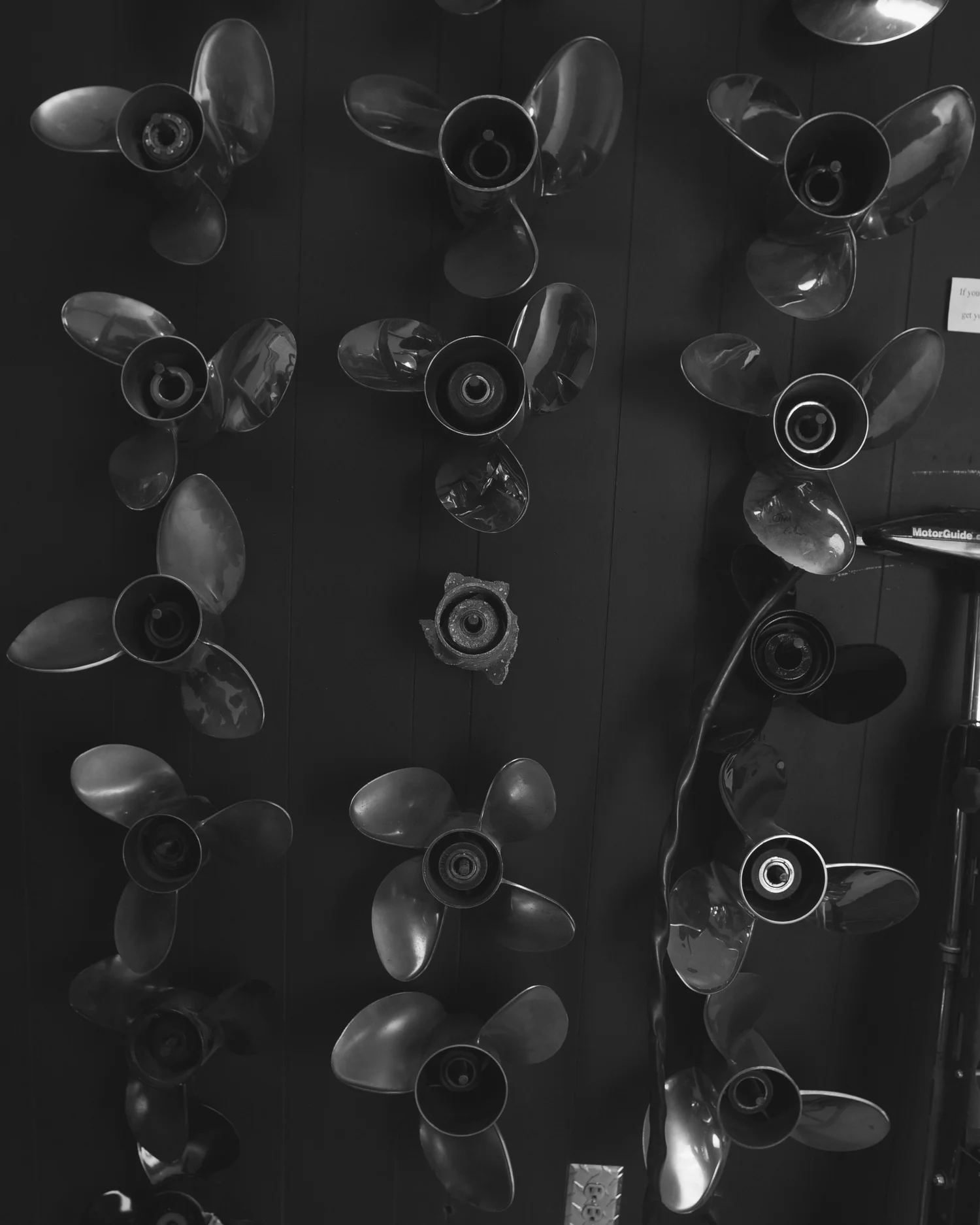 Team Marine Service | Speed, Money & No Brakes!