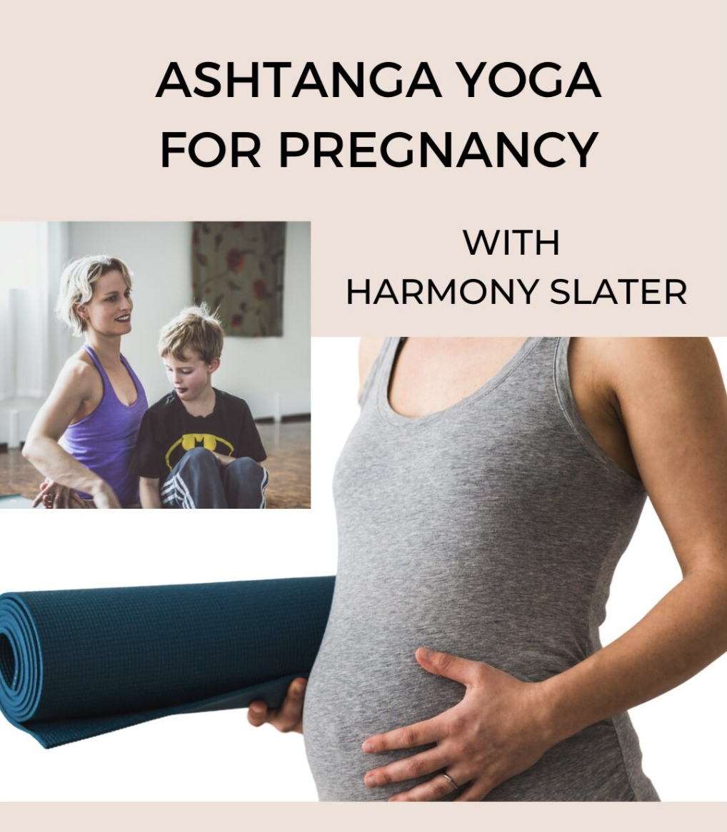 Store — HARMONY SLATER