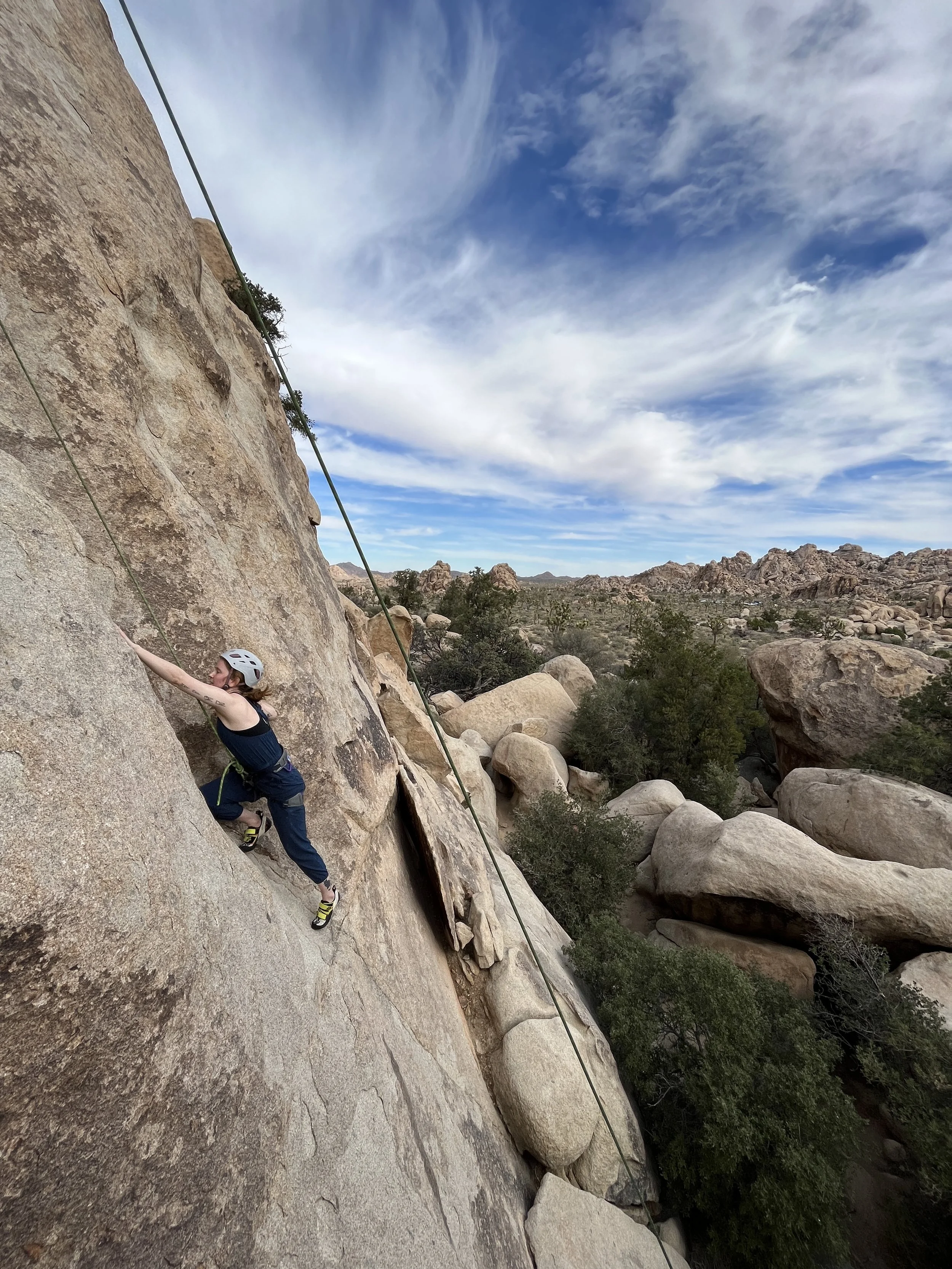 Joshua Tree Rock Climbing Tours & Guides