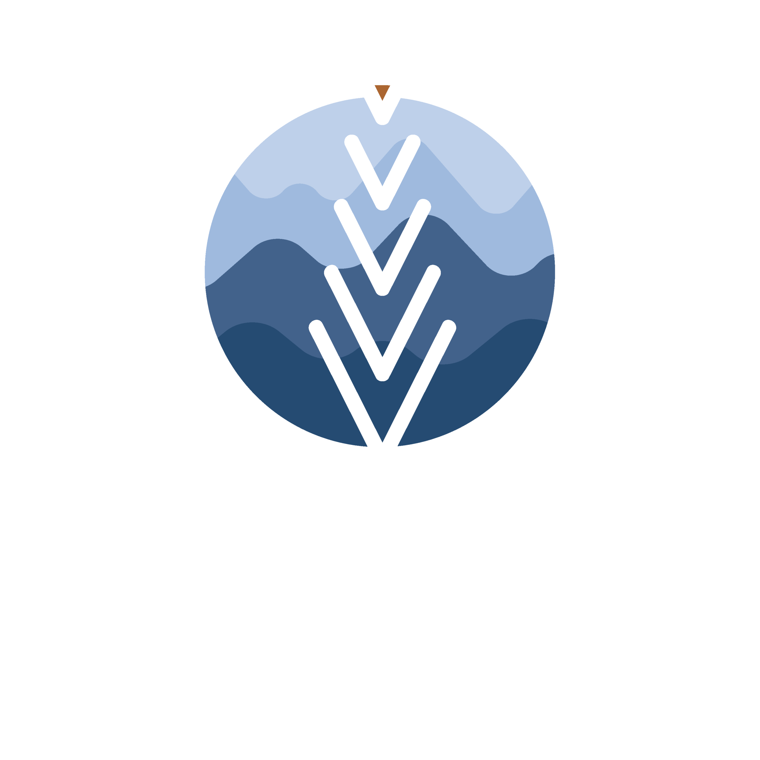Elevate Sport and Spine | Chiropractor in Kingsport TN