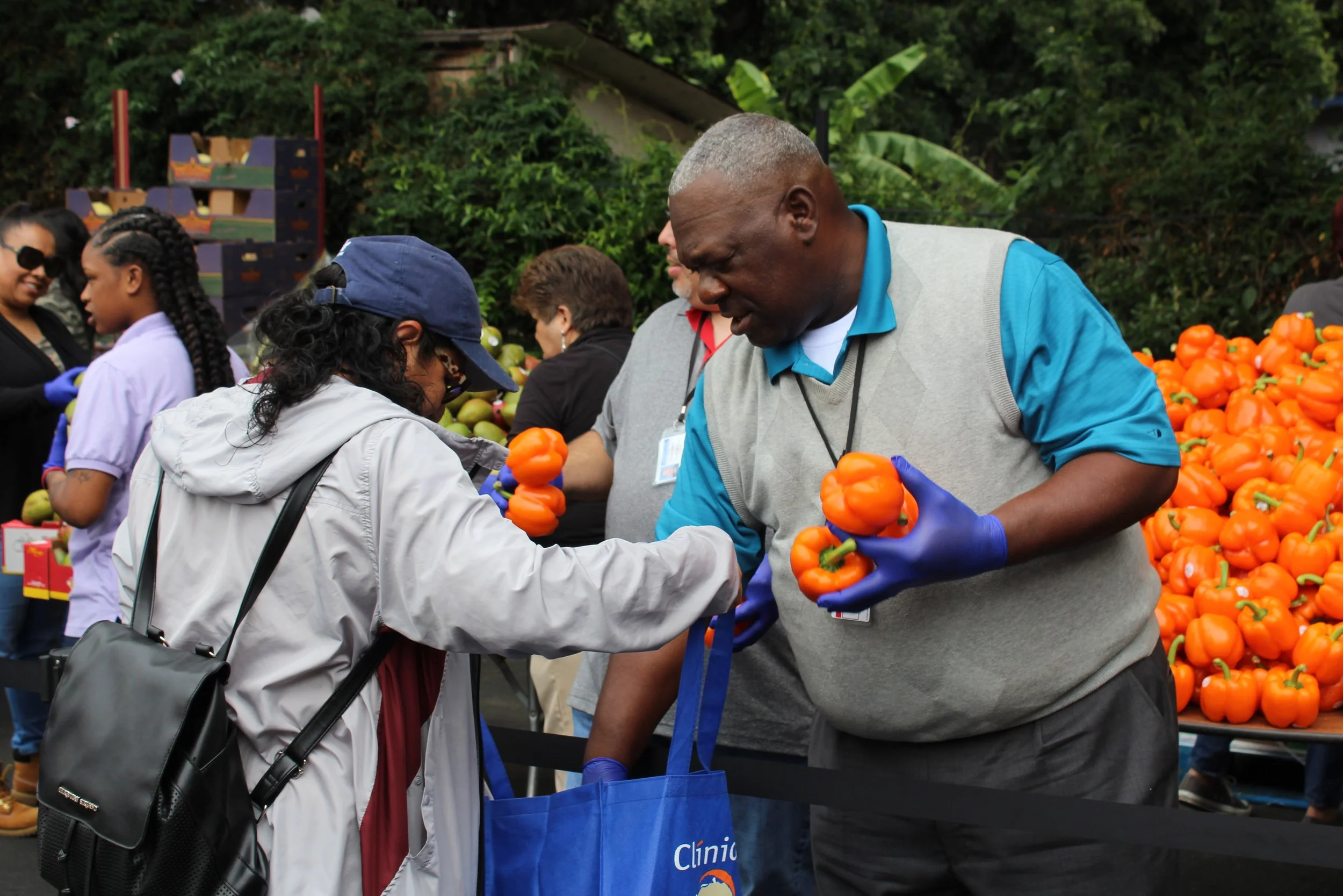 Volunteer Collective