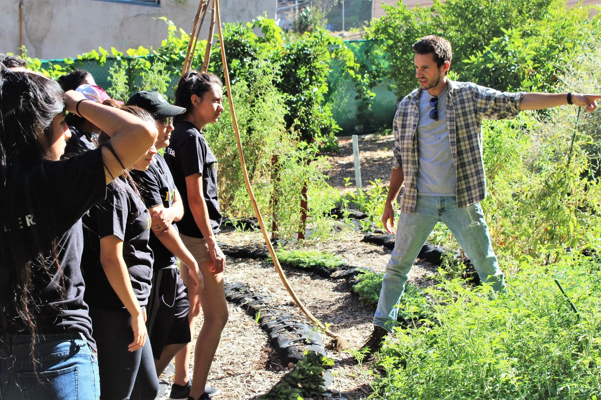 Volunteer Collective