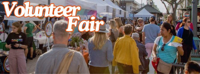 Volunteer Collective