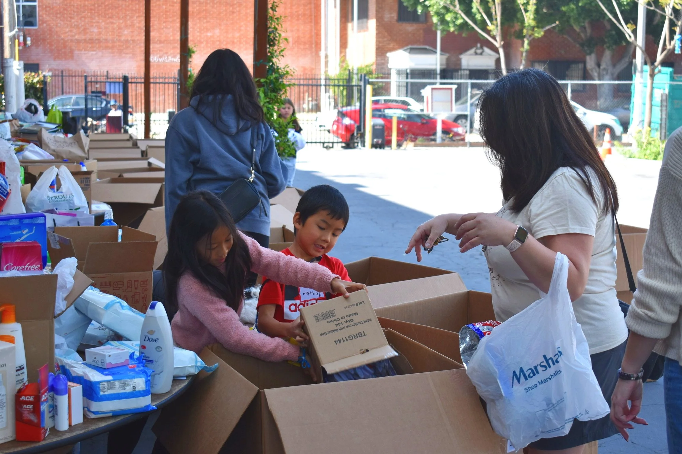 Volunteer Collective