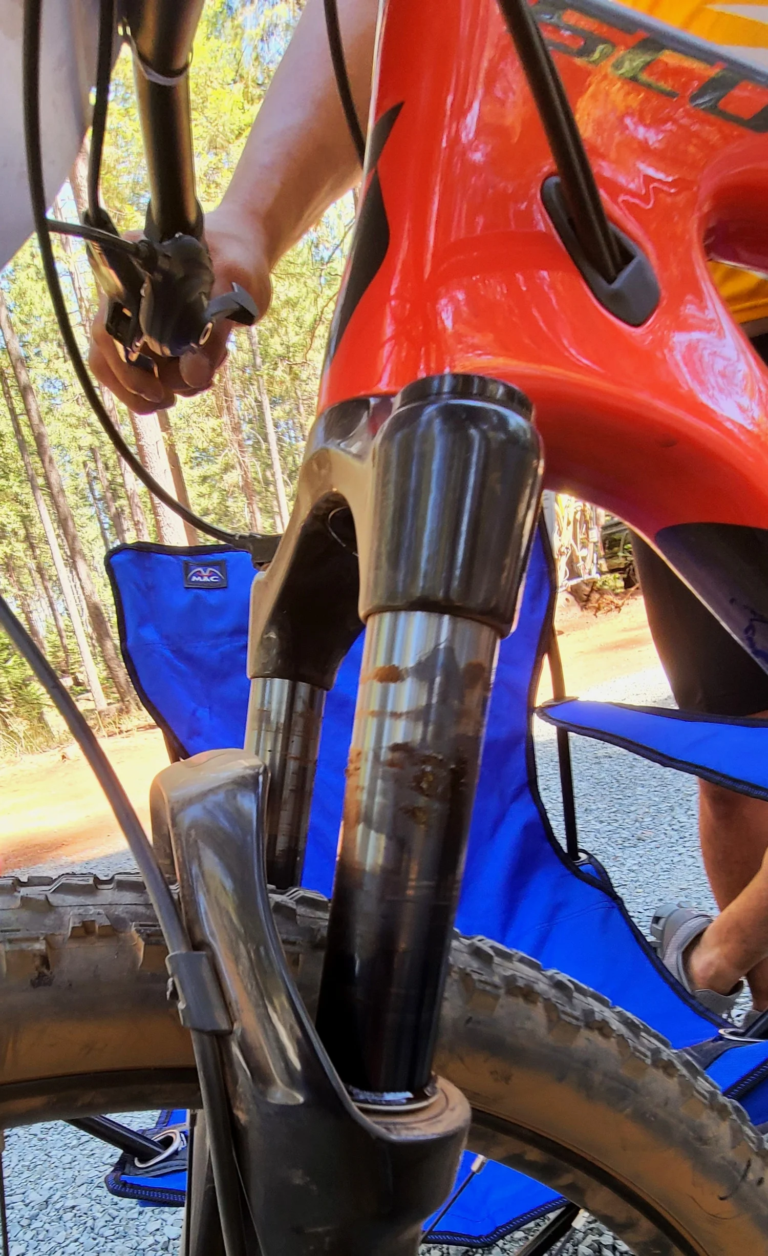 The Ultimate Scott Scale Shootout -- Hardtail Race Bike High-Low — Mud Club